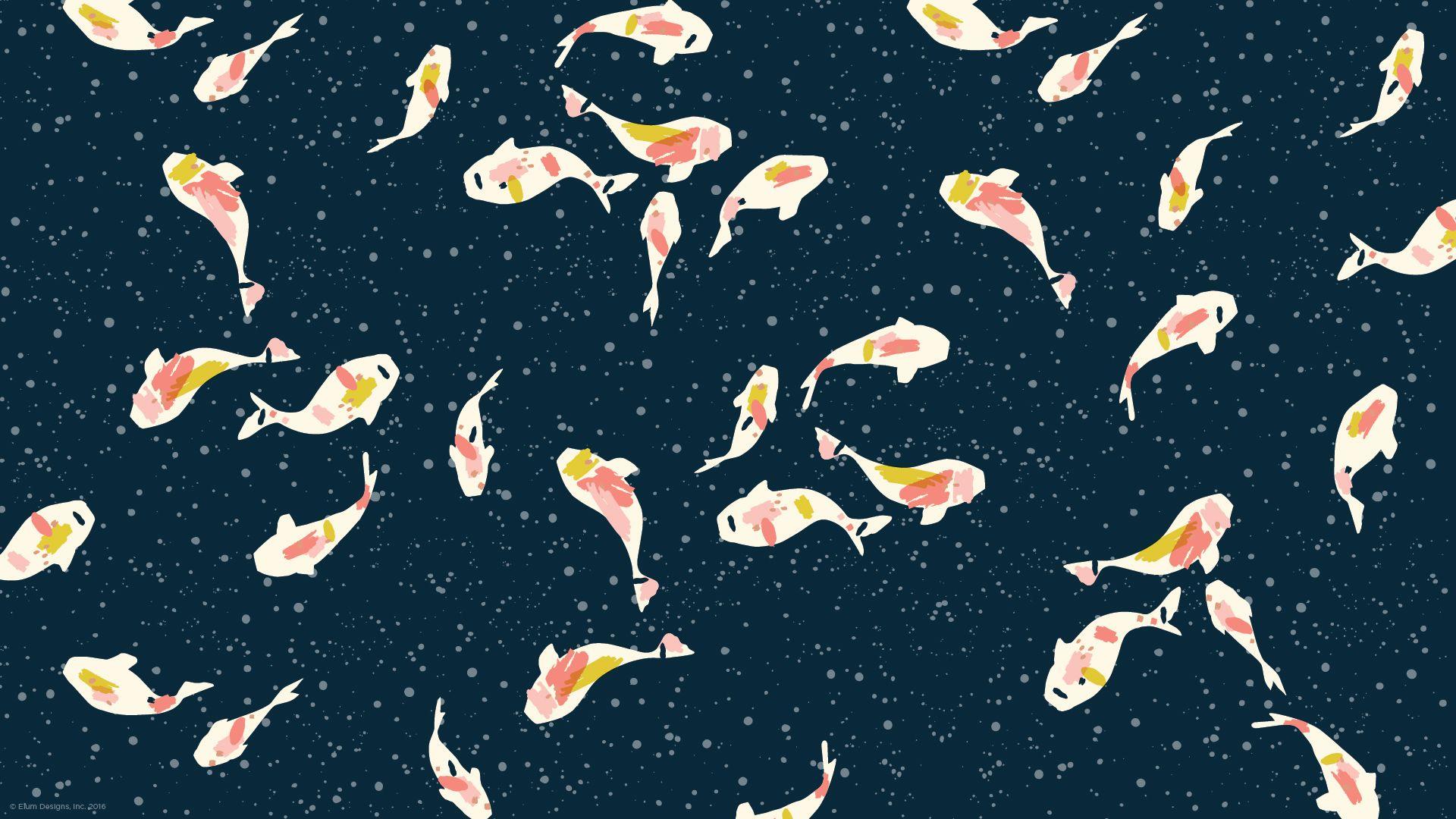 Refresh Wallpapers - Top Free Refresh Backgrounds - WallpaperAccess