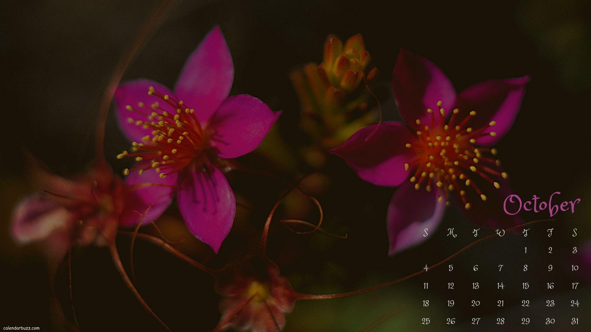 October 2020 Calendar Wallpapers - Top Free October 2020 Calendar ...
