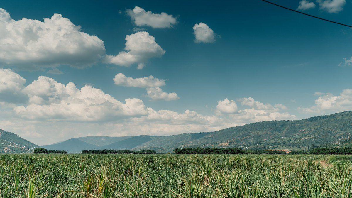 Rwanda Wallpapers - Top Free Rwanda Backgrounds - WallpaperAccess