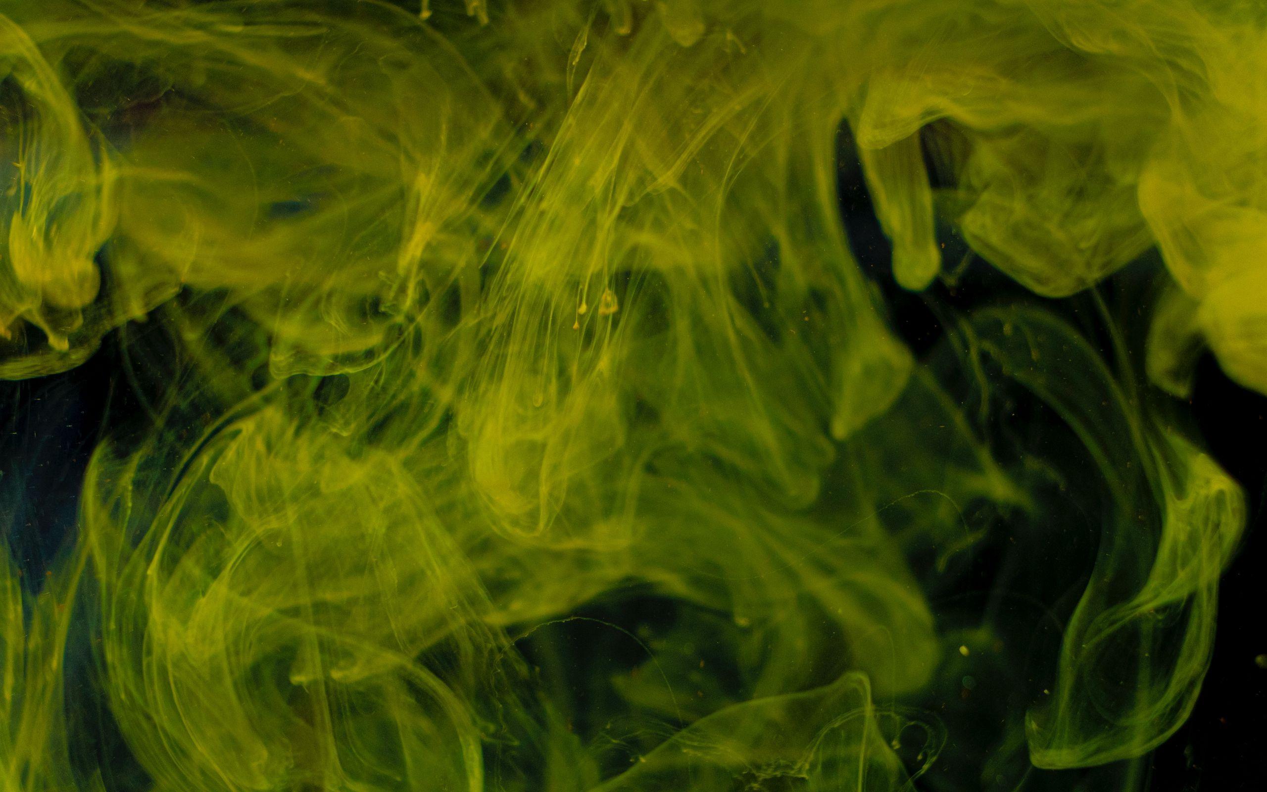 Yellow Paint Wallpapers - Top Free Yellow Paint Backgrounds ...