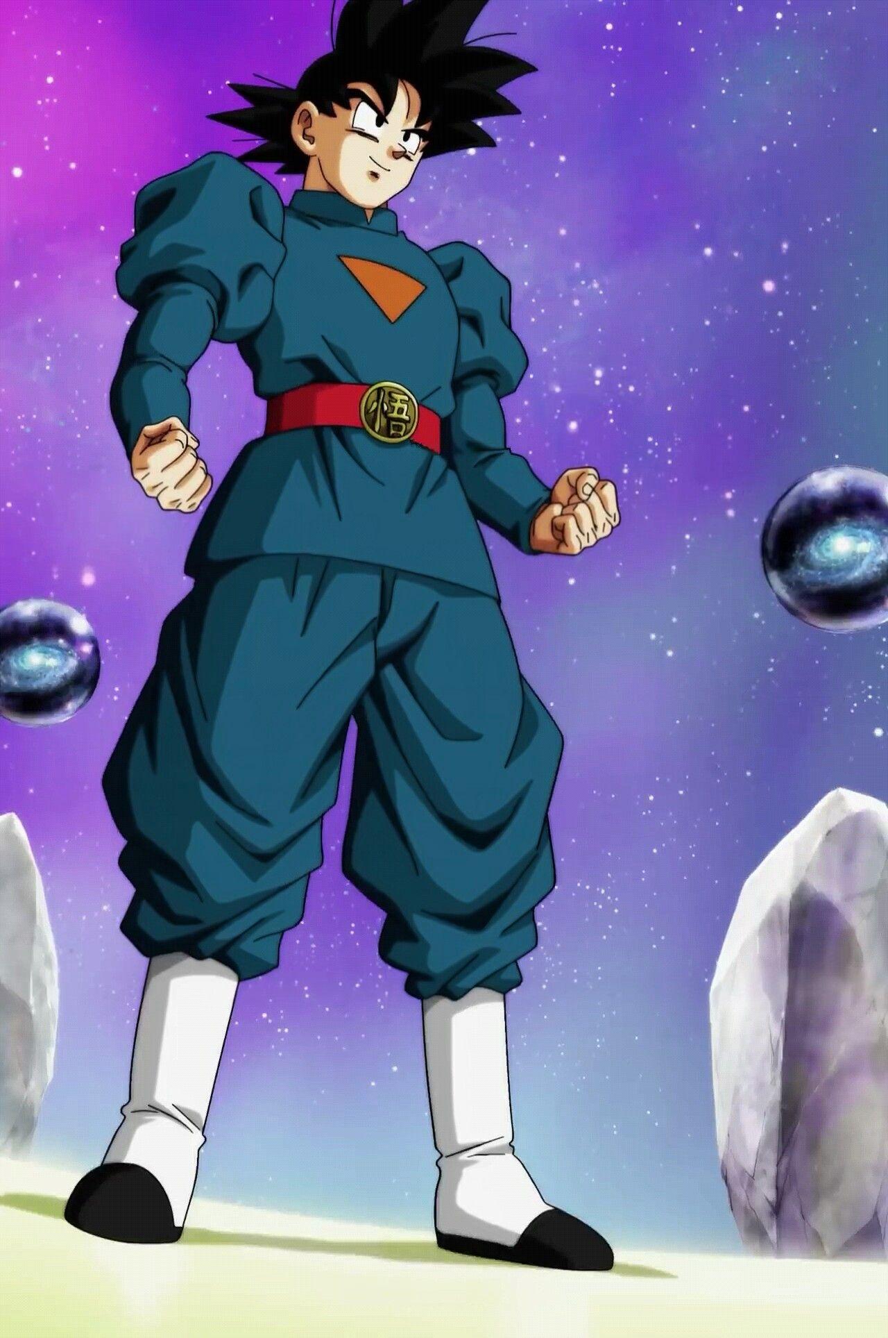 Grand Priest Goku Wallpapers - Top Free Grand Priest Goku Backgrounds ...