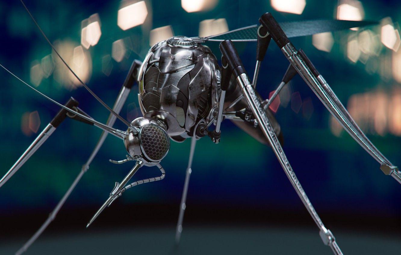 Mosquito Wallpapers - Top Free Mosquito Backgrounds - WallpaperAccess