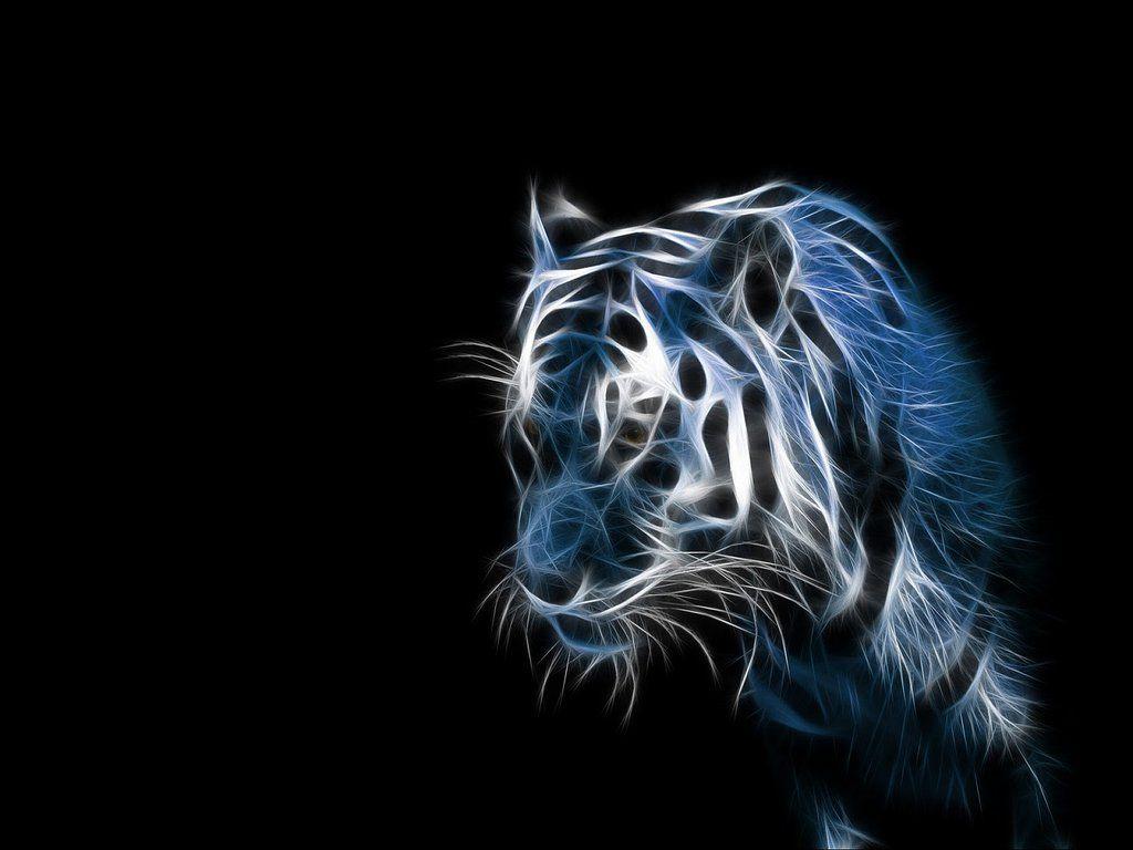 Wildcat Wallpapers - Top Free Wildcat Backgrounds - WallpaperAccess