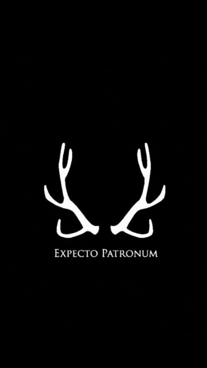 Expecto Patronum Wallpapers - Top Free Expecto Patronum Backgrounds ...