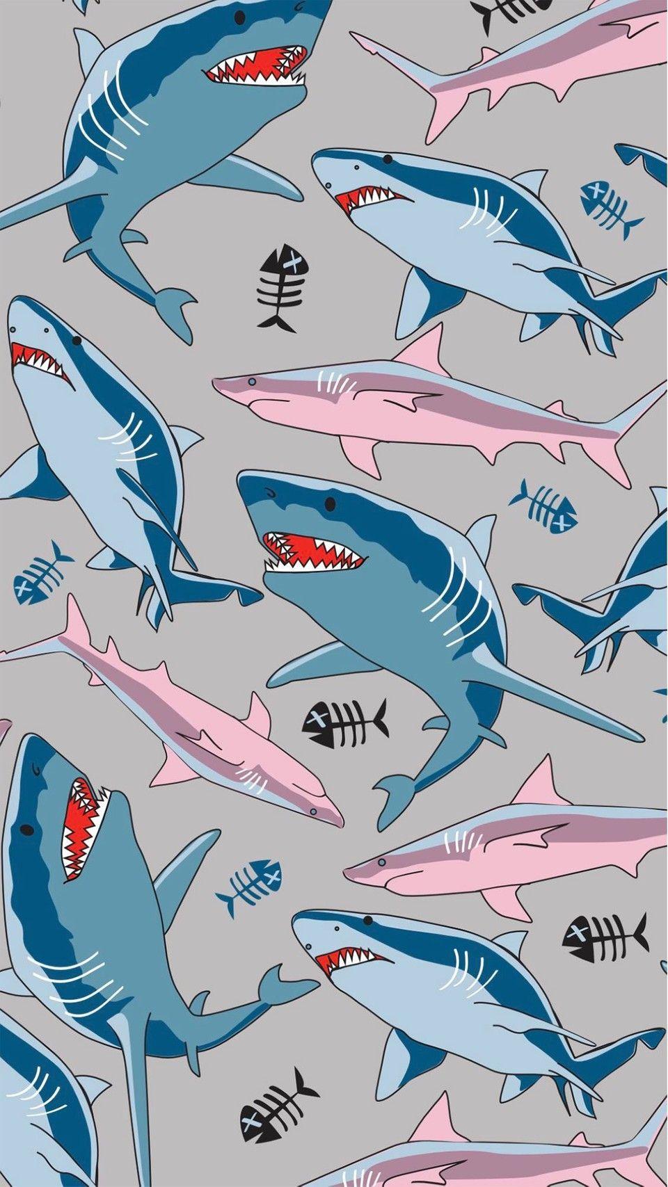 Shark Aesthetic Wallpapers - Top Free Shark Aesthetic Backgrounds ...