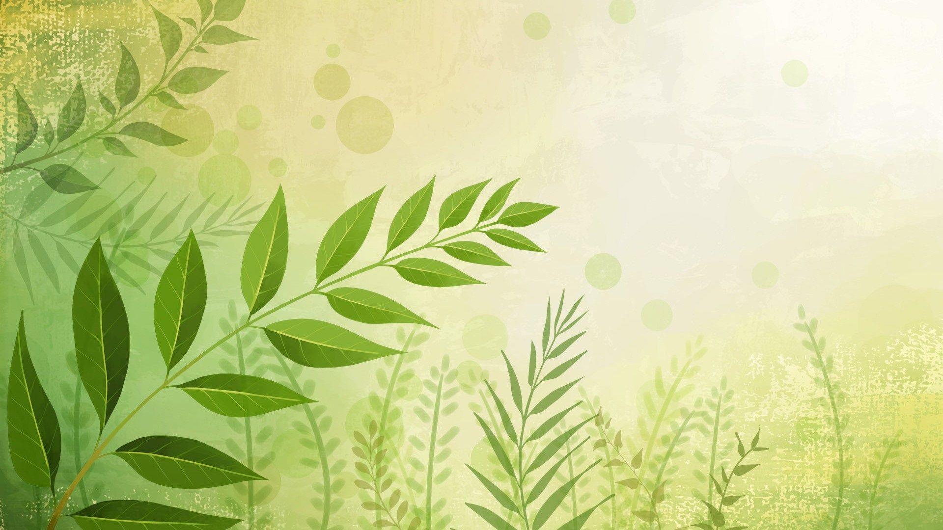 Green Vector Wallpapers - Top Free Green Vector Backgrounds ...
