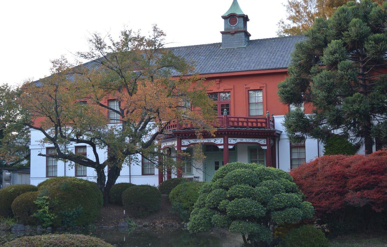 Japan School Wallpapers - Top Free Japan School Backgrounds ...