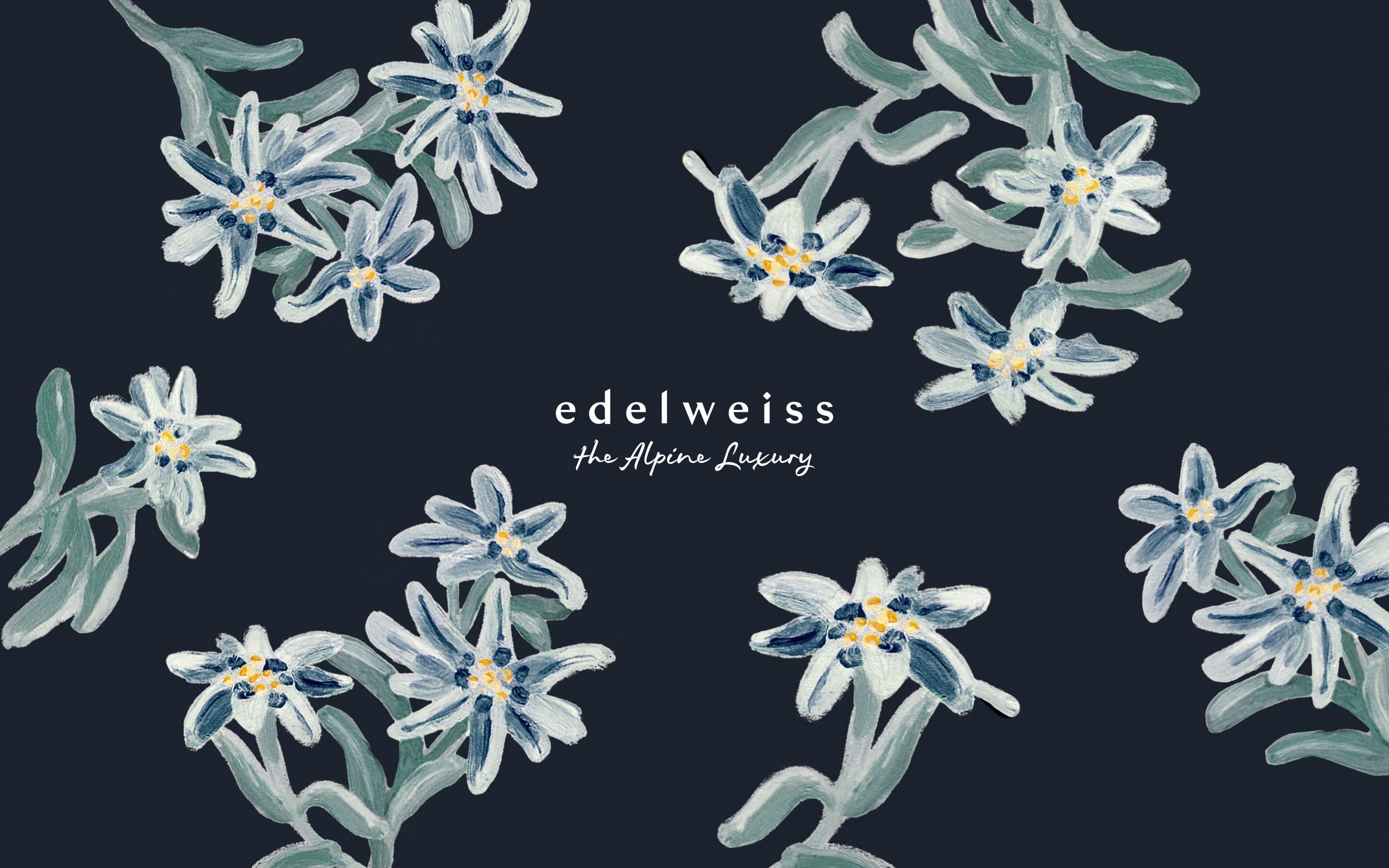 Edelweiss Wallpapers - Top Free Edelweiss Backgrounds - WallpaperAccess