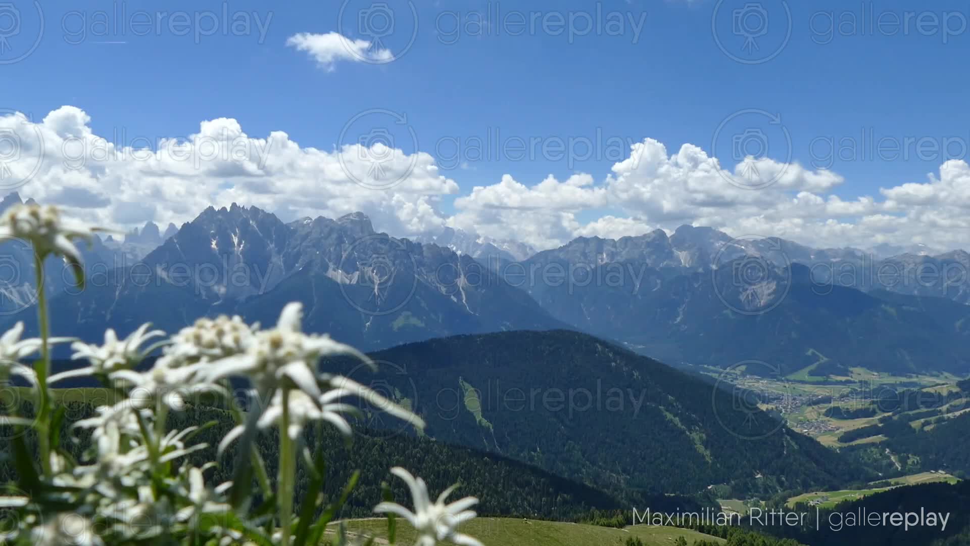 Edelweiss Wallpapers - Top Free Edelweiss Backgrounds - WallpaperAccess
