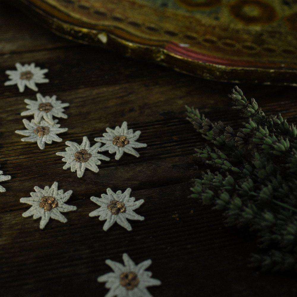 Edelweiss Wallpapers - Top Free Edelweiss Backgrounds - WallpaperAccess