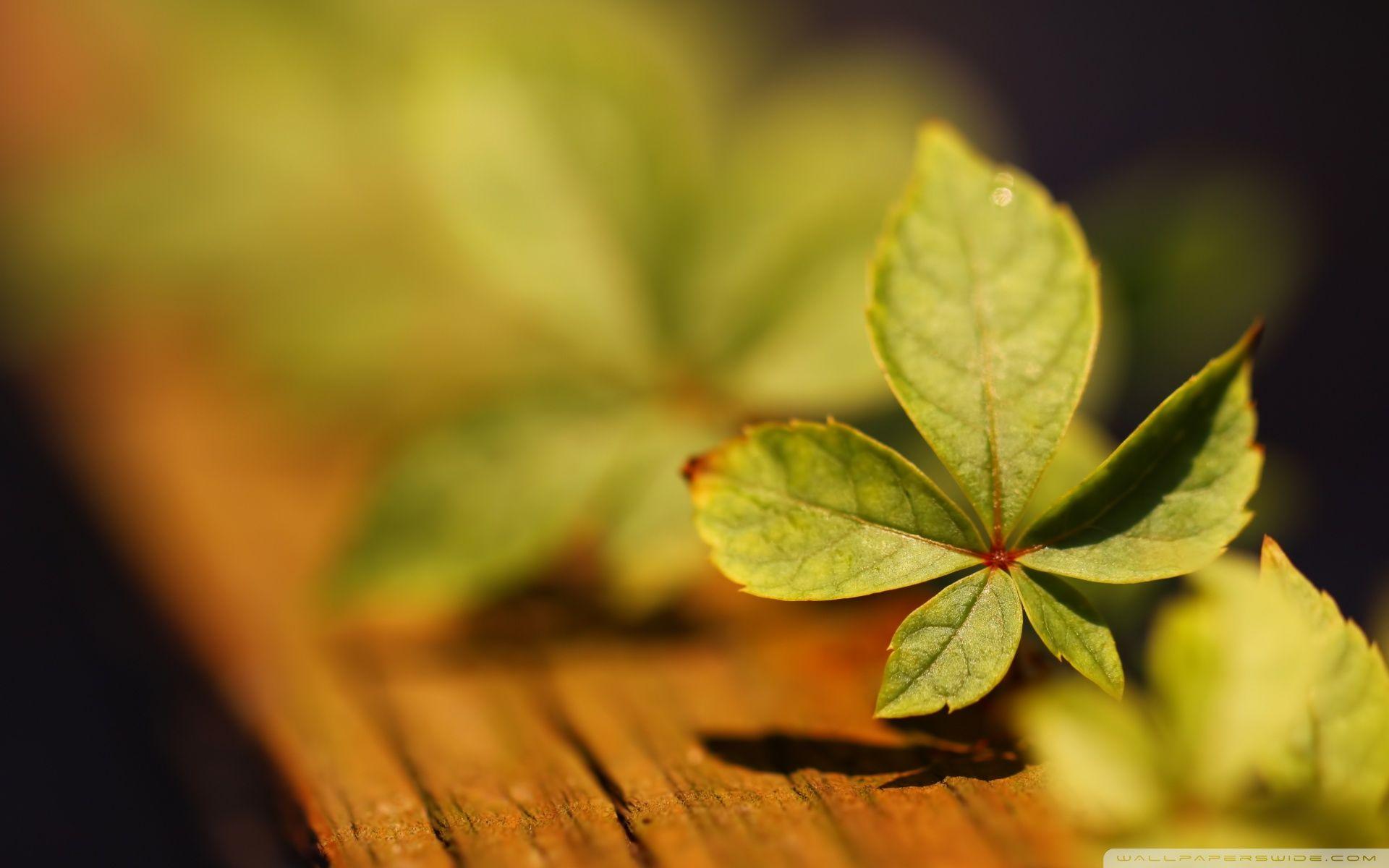 256k Wallpapers - Top Free 256k Backgrounds - WallpaperAccess