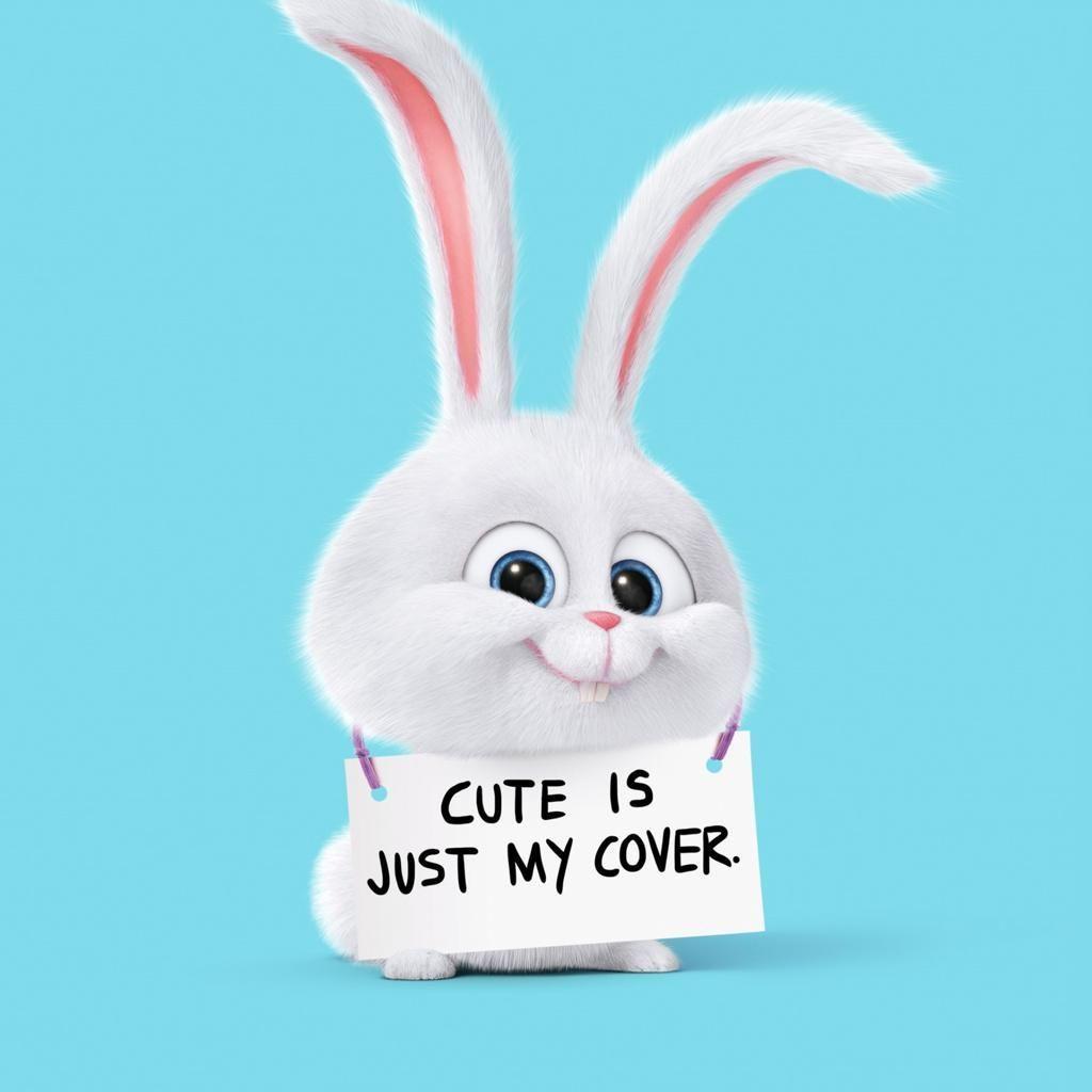 Snow Bunny Wallpapers - Top Free Snow Bunny Backgrounds - WallpaperAccess