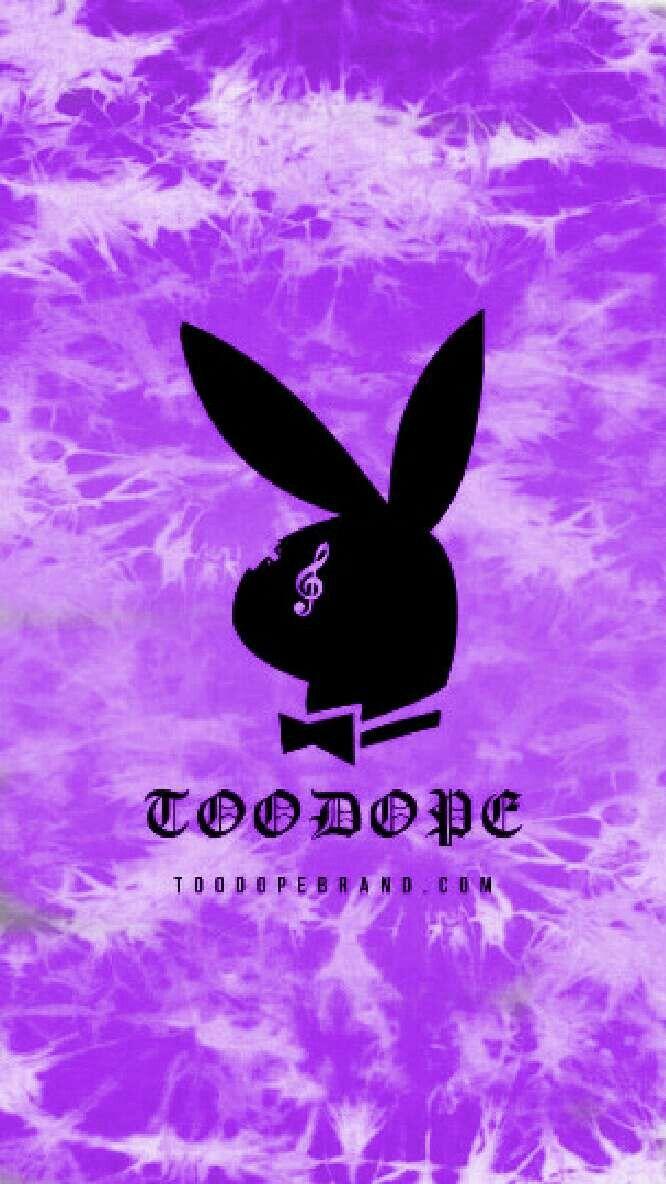 Purple Bunny Wallpapers - Top Free Purple Bunny Backgrounds ...