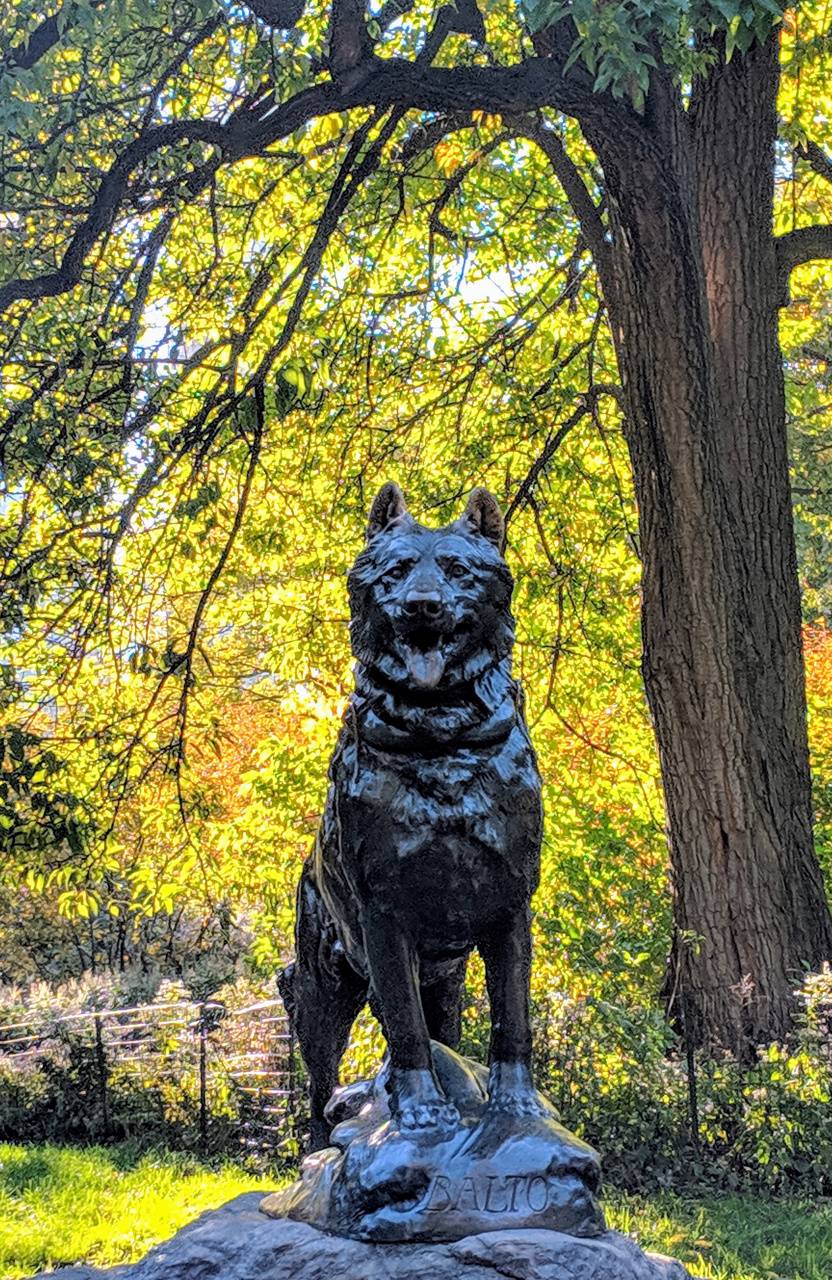 Balto iPhone Wallpapers - Top Free Balto iPhone Backgrounds ...