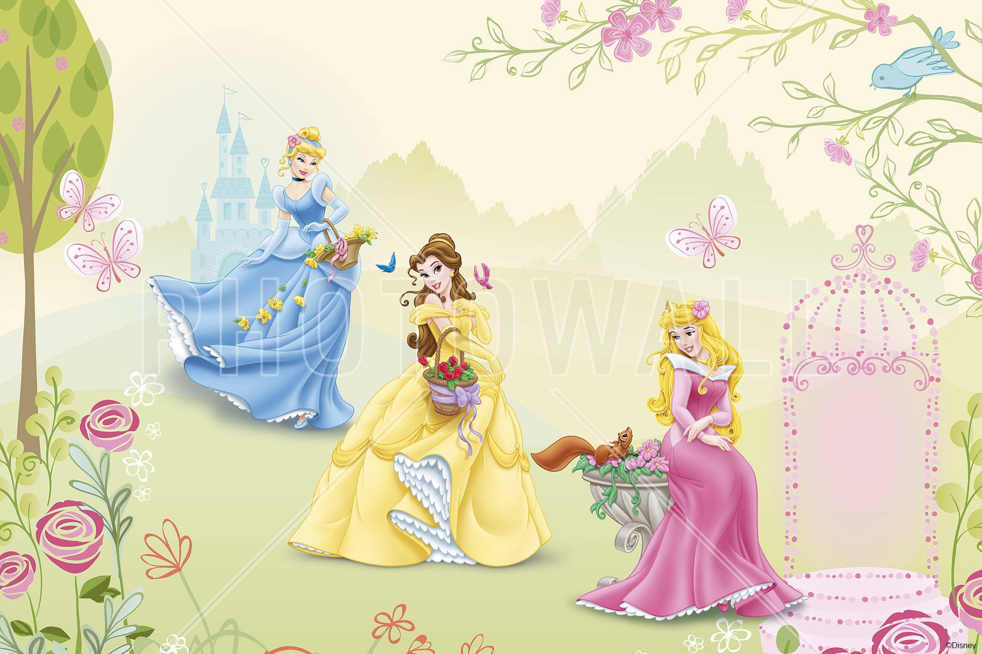 Princess Castle Wallpapers - Top Free Princess Castle Backgrounds ...