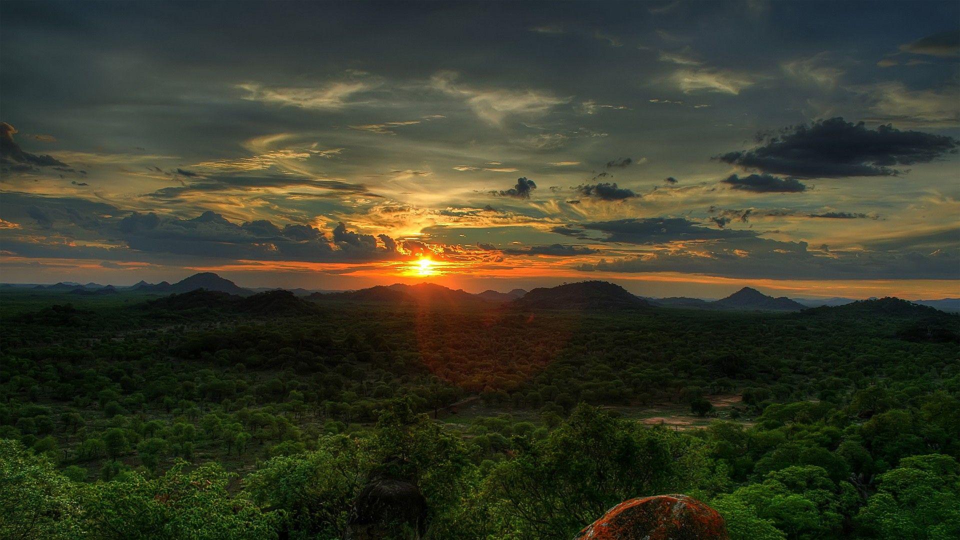 Jungle Sky Wallpapers - Top Free Jungle Sky Backgrounds - WallpaperAccess