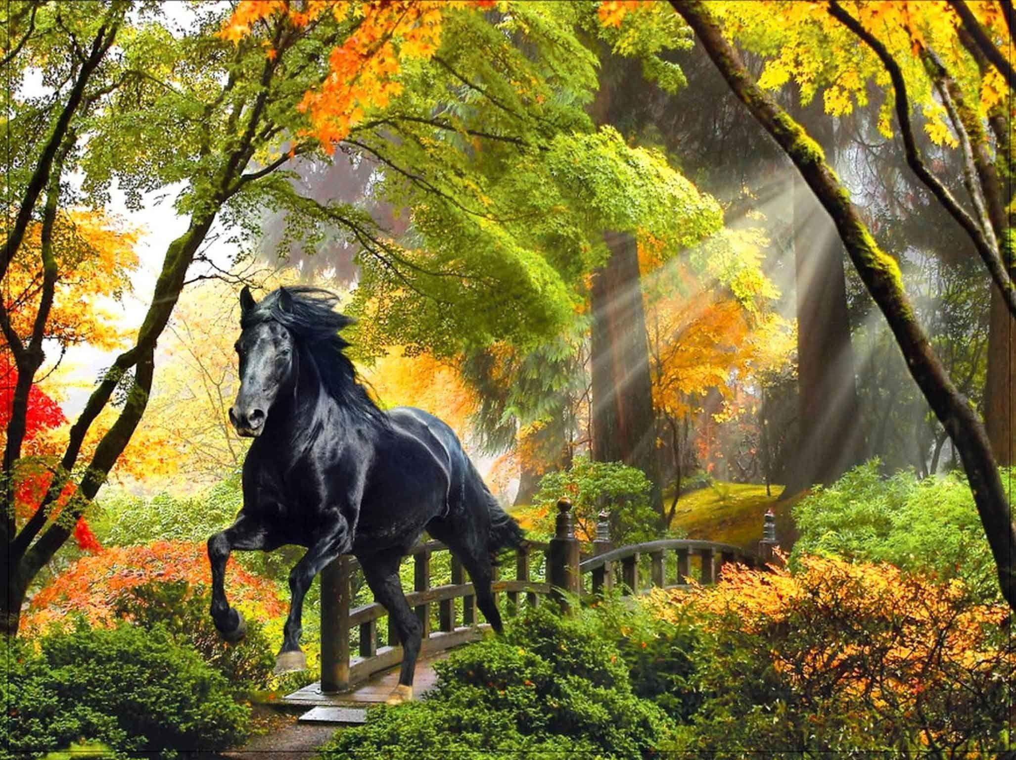 Fall Horse Wallpapers - Top Free Fall Horse Backgrounds - WallpaperAccess
