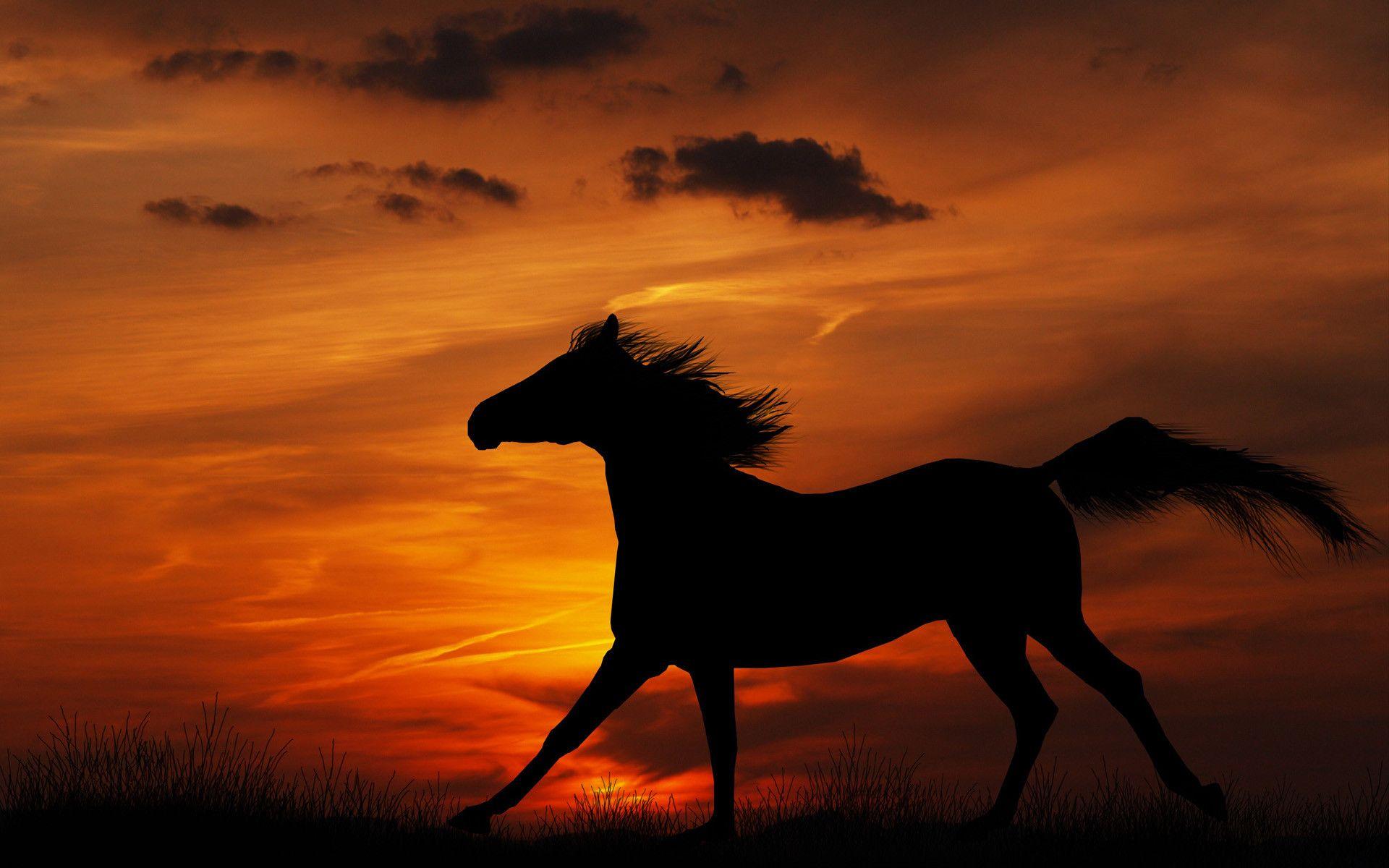 Fall Horse Wallpapers - Top Free Fall Horse Backgrounds - WallpaperAccess