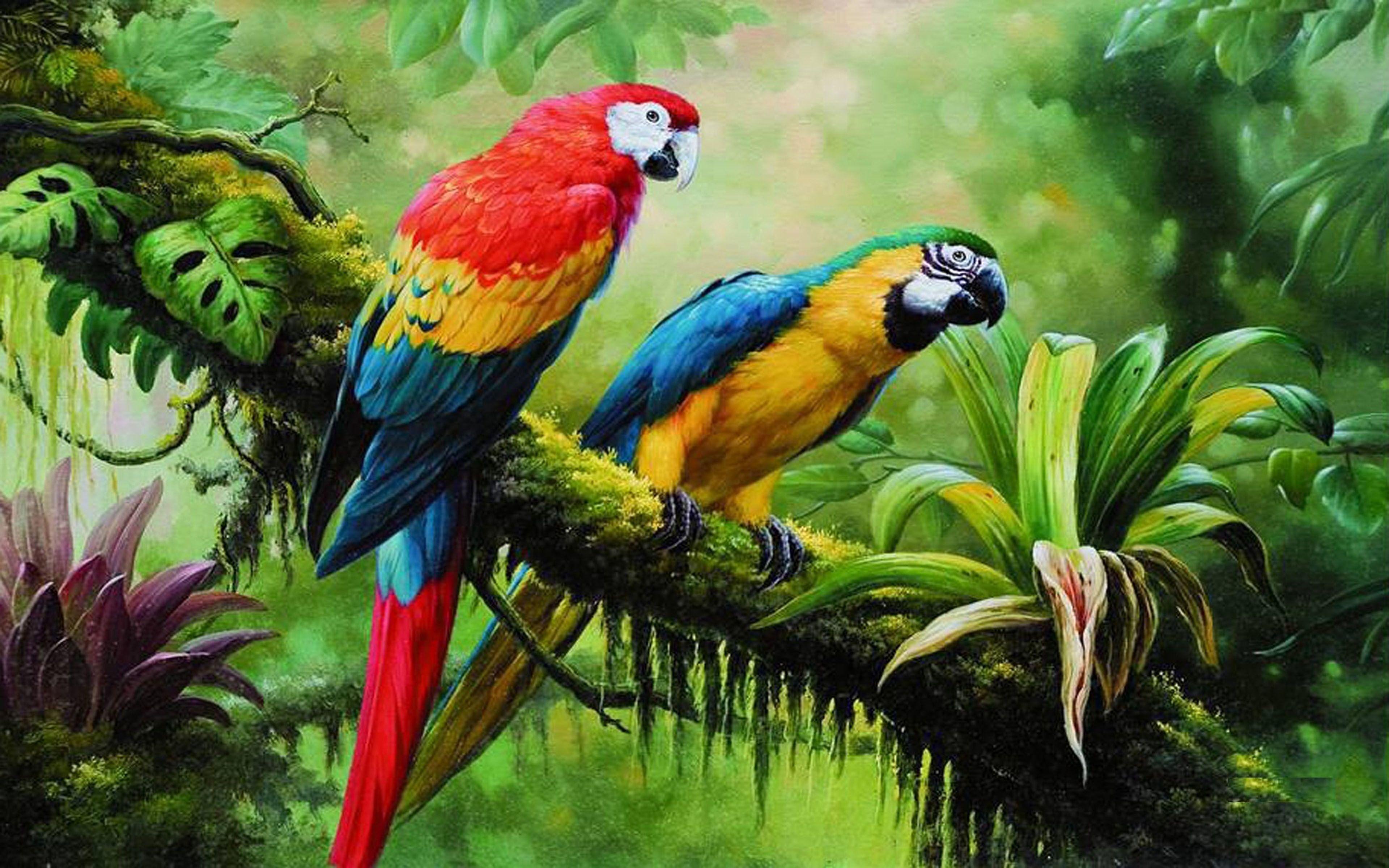 Parrot Art Wallpapers - Top Free Parrot Art Backgrounds - WallpaperAccess