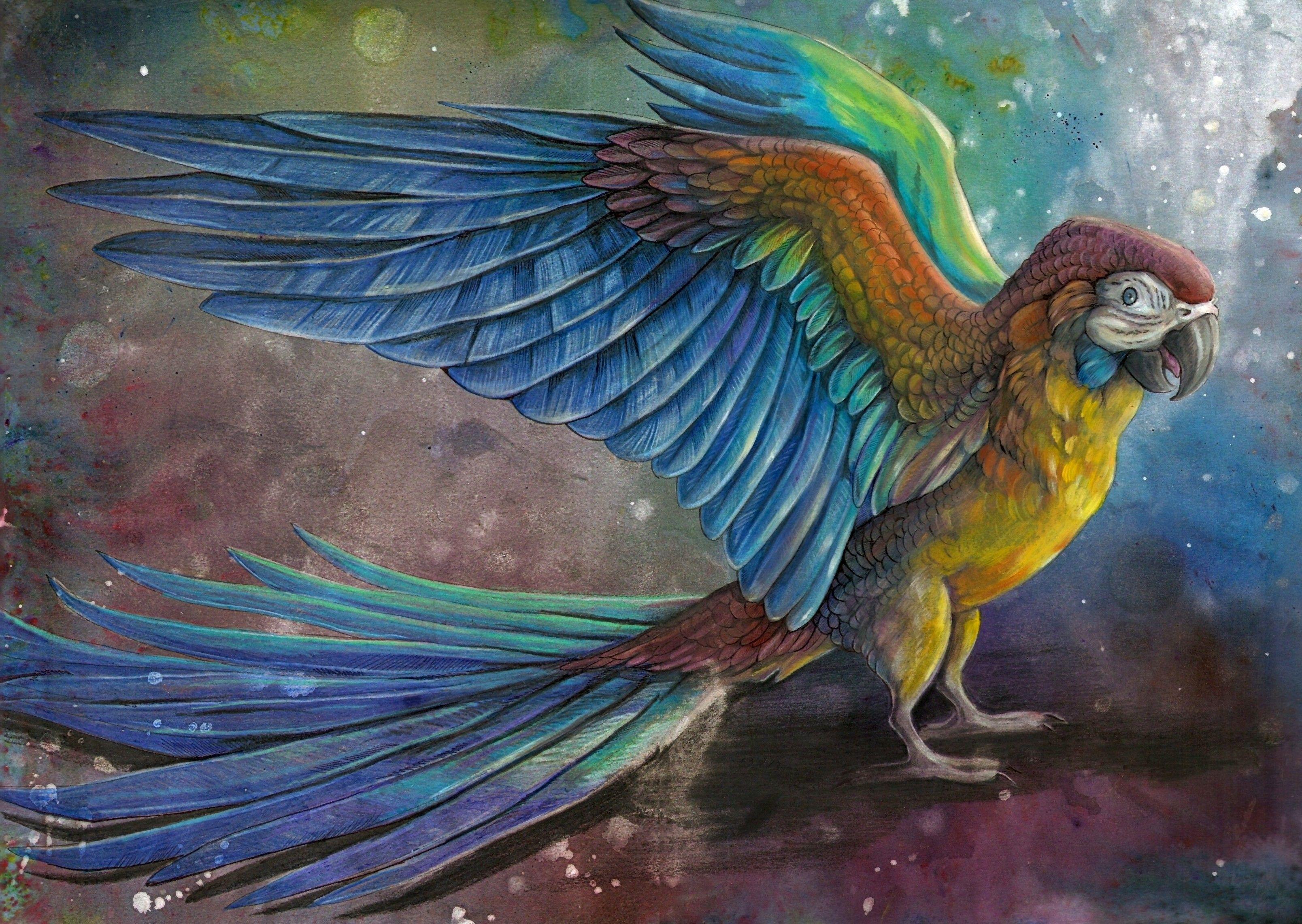 Parrot Art Wallpapers - Top Free Parrot Art Backgrounds - WallpaperAccess