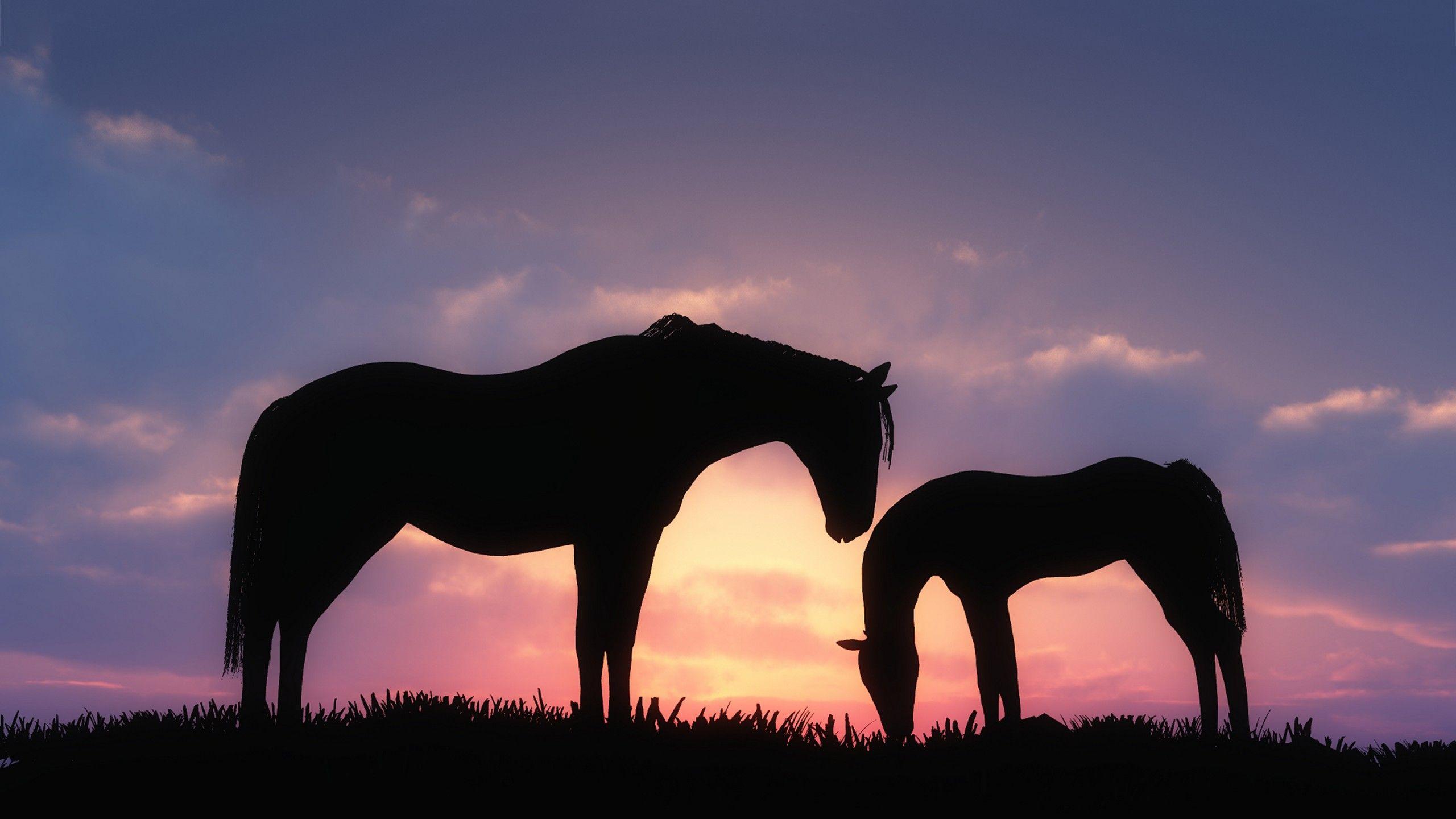 Fall Horse Wallpapers - Top Free Fall Horse Backgrounds - WallpaperAccess
