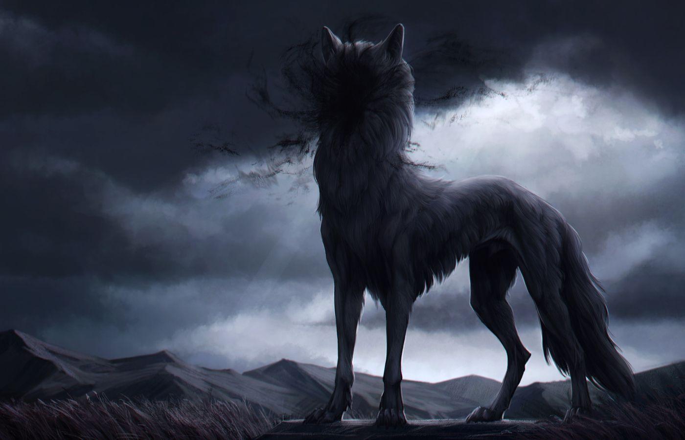 Horse and Wolf Wallpapers - Top Free Horse and Wolf Backgrounds ...