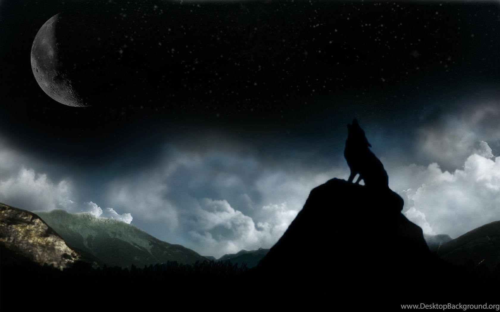 Horse and Wolf Wallpapers - Top Free Horse and Wolf Backgrounds ...