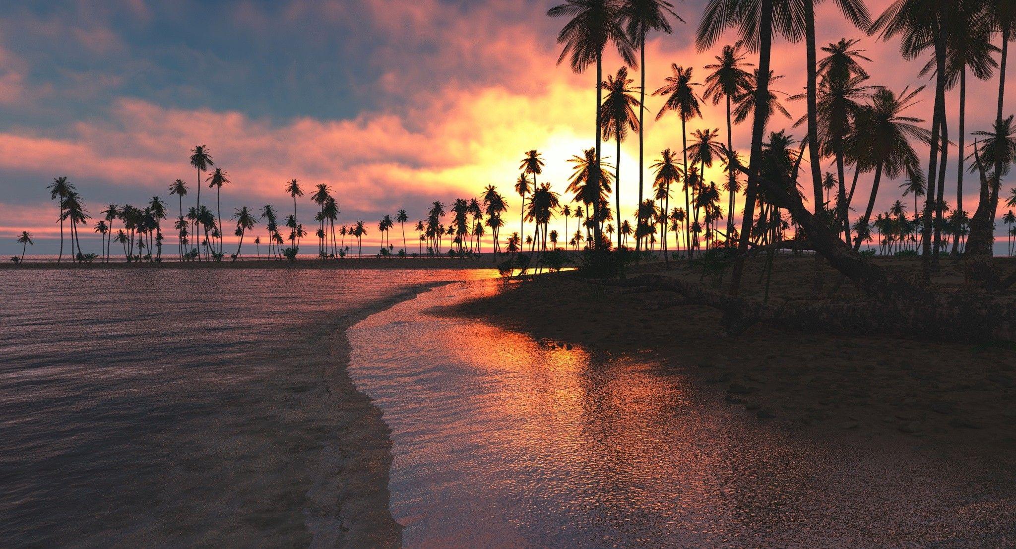 Palm Trees Sunset Wallpapers - Top Free Palm Trees Sunset Backgrounds ...