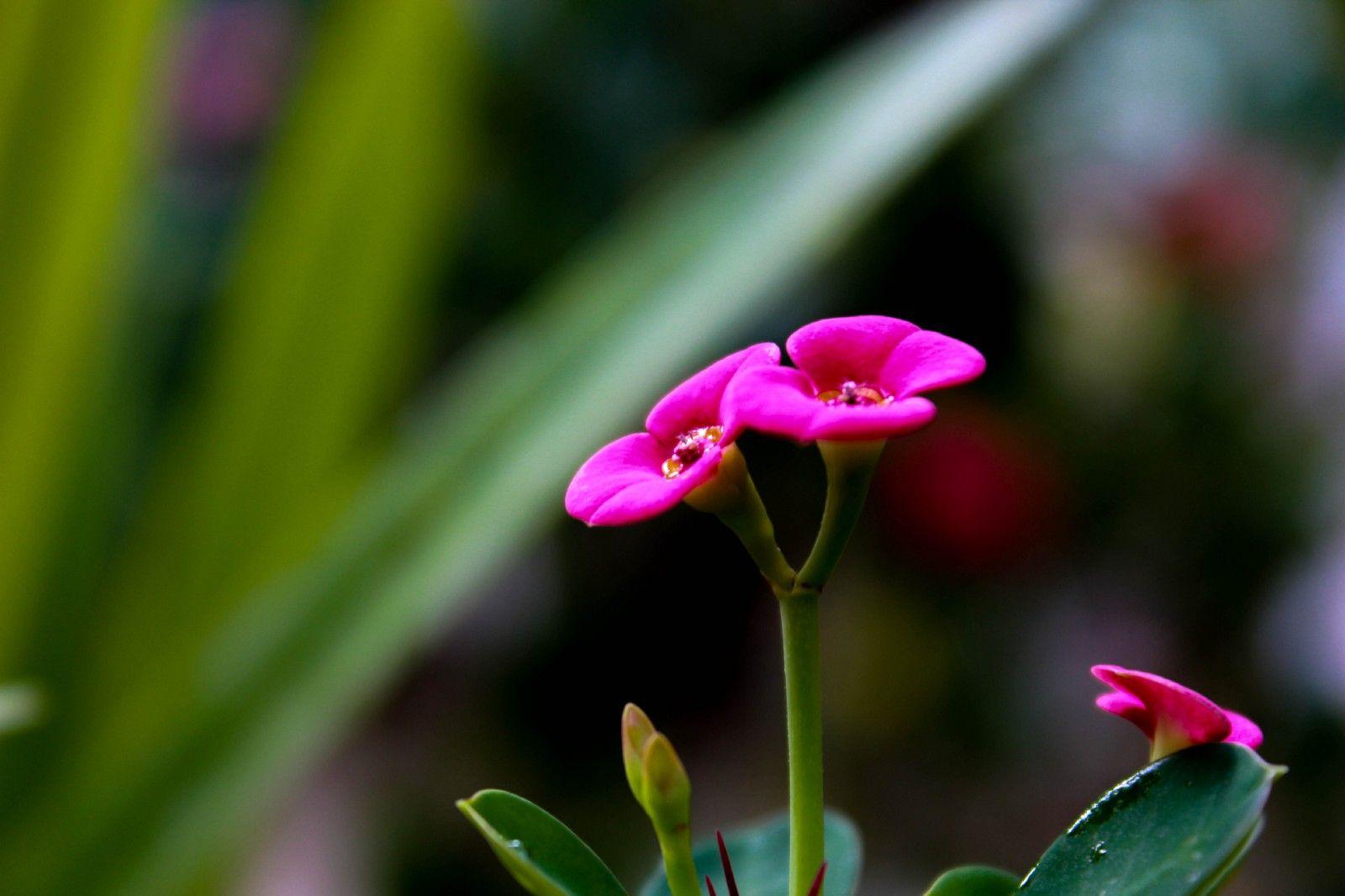 Hi Res Mobile Wallpapers - Top Free Hi Res Mobile Backgrounds ...