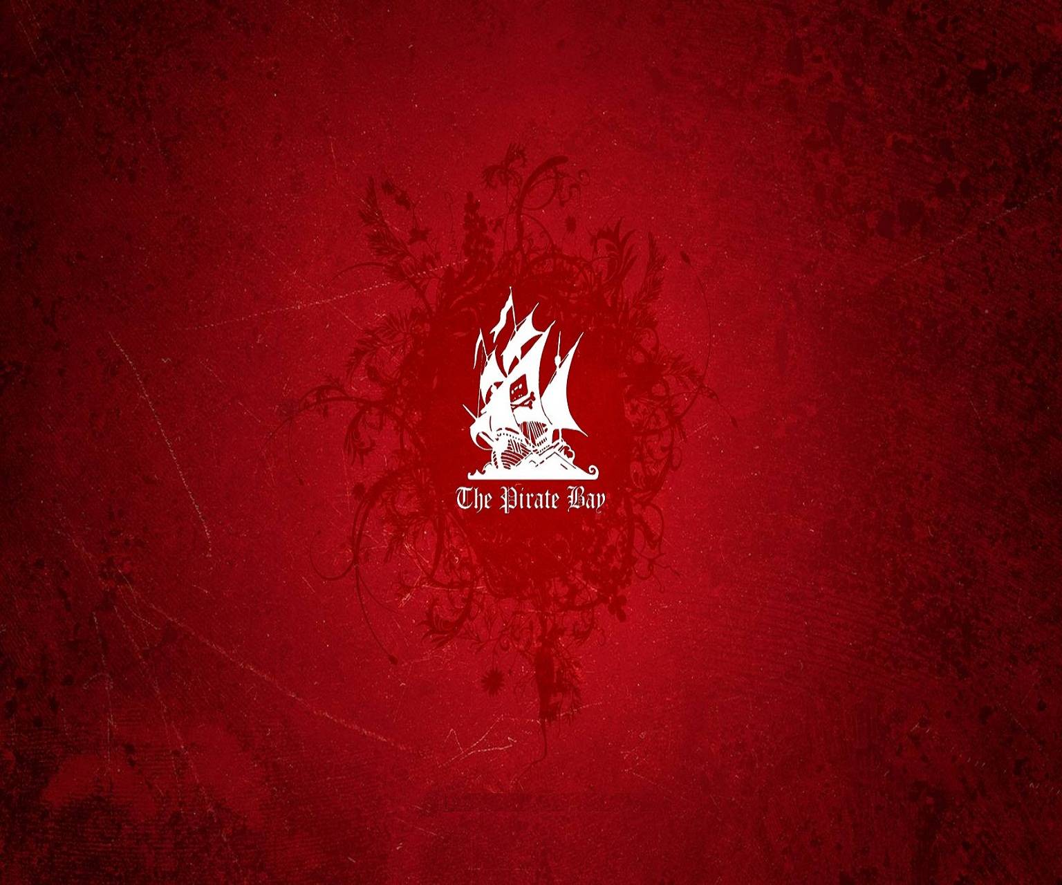 Pirate Bay Wallpapers - Top Free Pirate Bay Backgrounds - WallpaperAccess