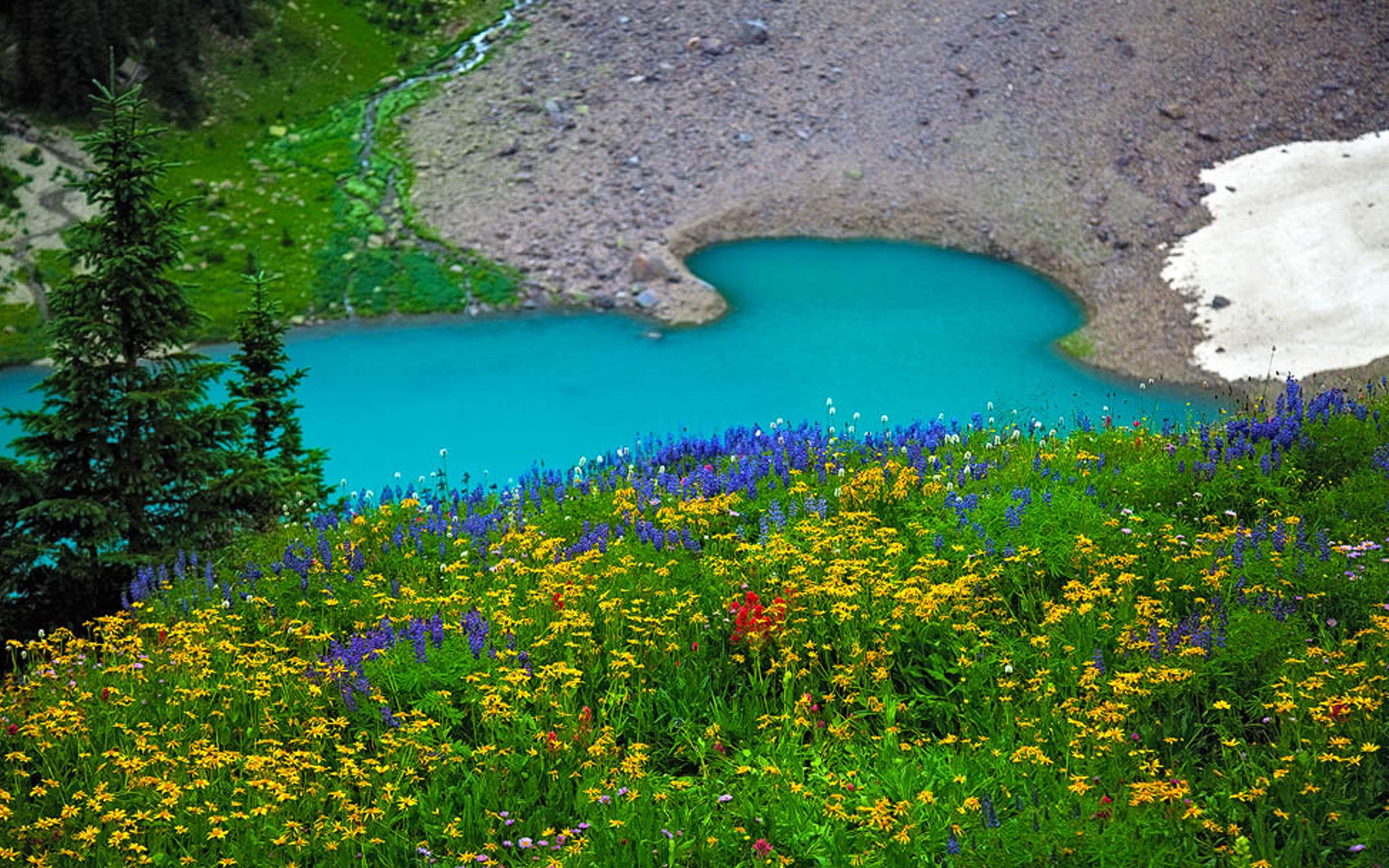 Spring Meadow Wallpapers - Top Free Spring Meadow Backgrounds ...