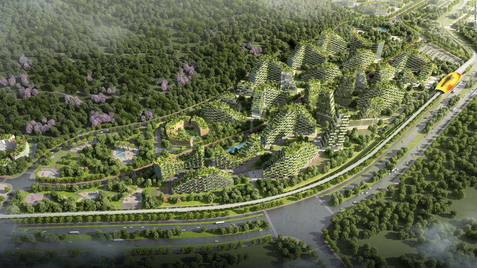 Forest City Wallpapers - Top Free Forest City Backgrounds - WallpaperAccess