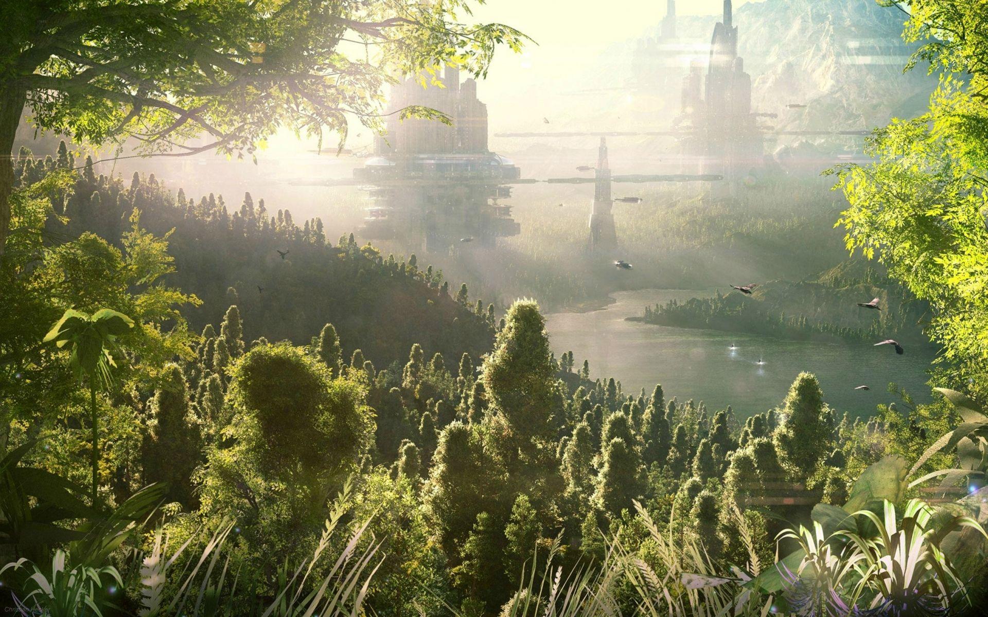 Forest City Wallpapers - Top Free Forest City Backgrounds - WallpaperAccess