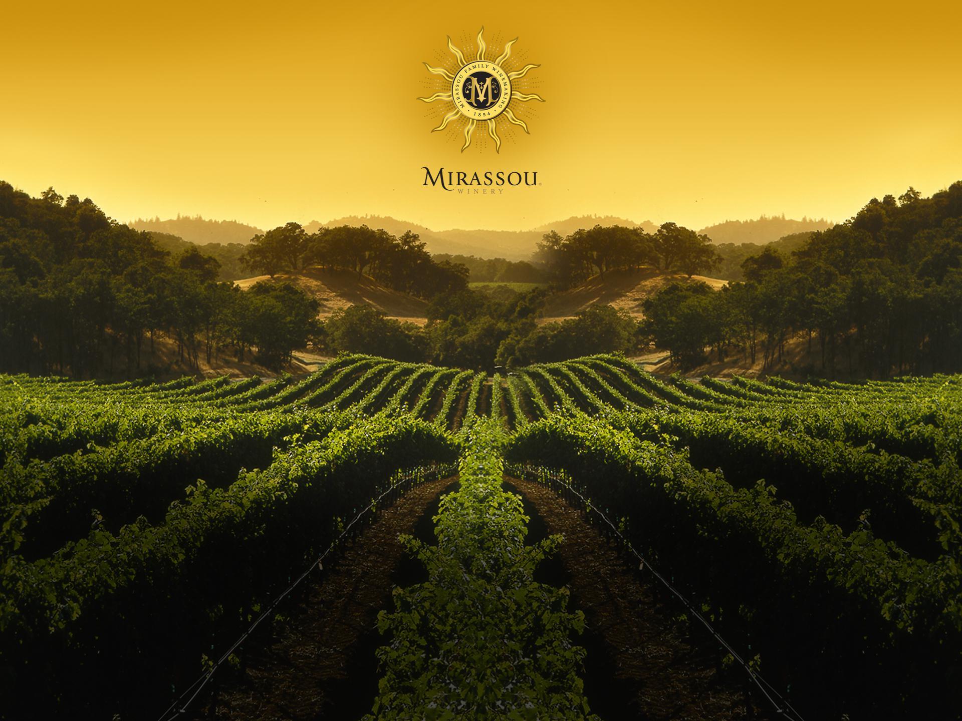 Winery Wallpapers - Top Free Winery Backgrounds - WallpaperAccess