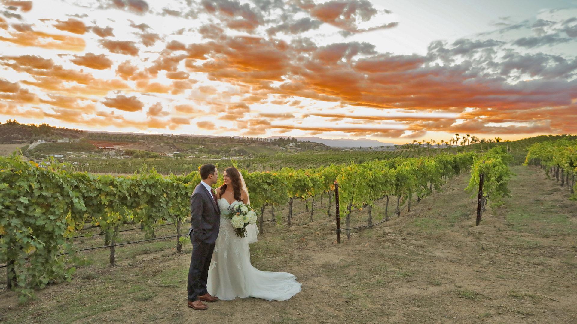 Winery Wallpapers - Top Free Winery Backgrounds - WallpaperAccess