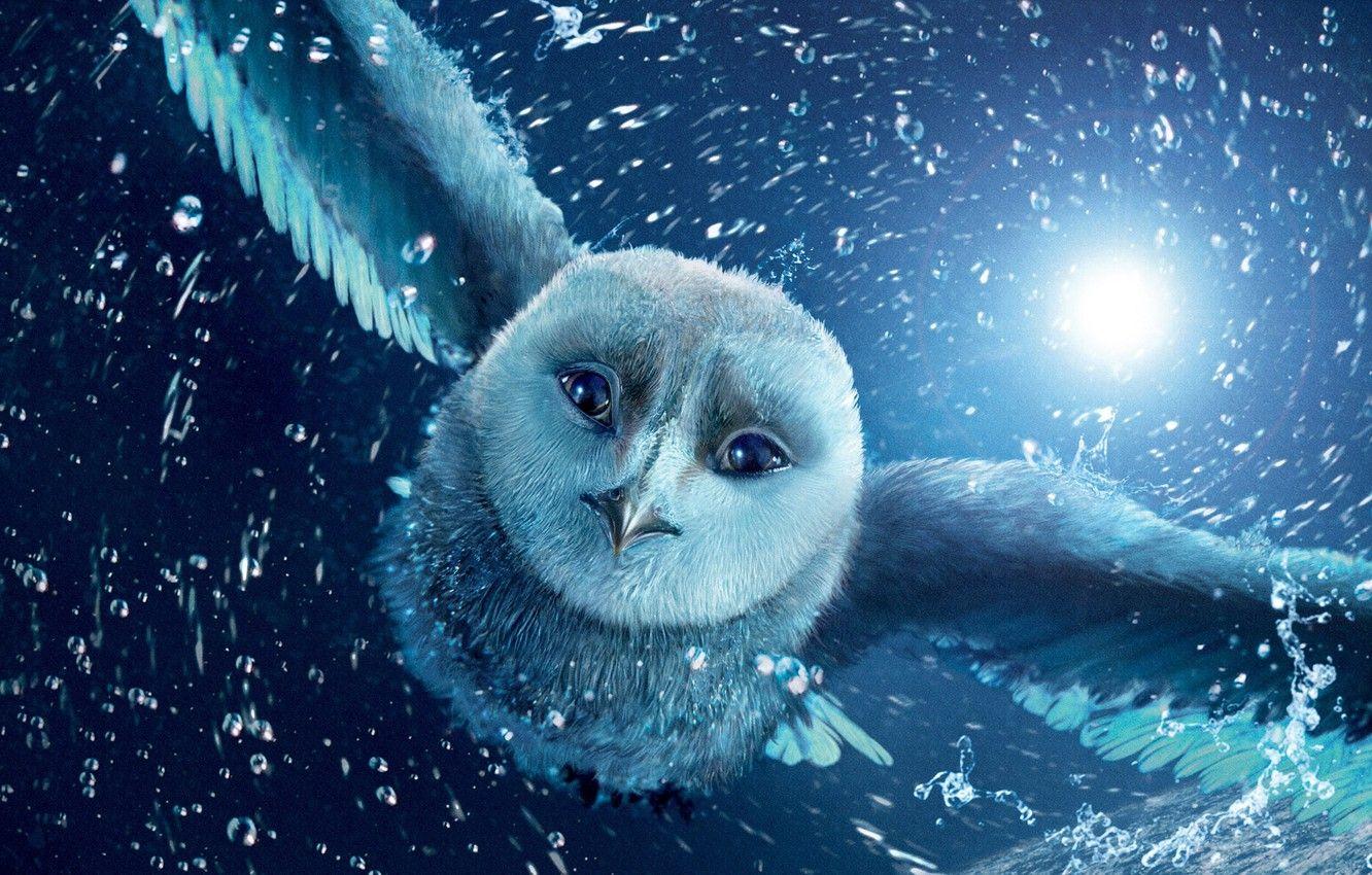 Night Owl Cartoon Wallpapers - Top Free Night Owl Cartoon Backgrounds ...