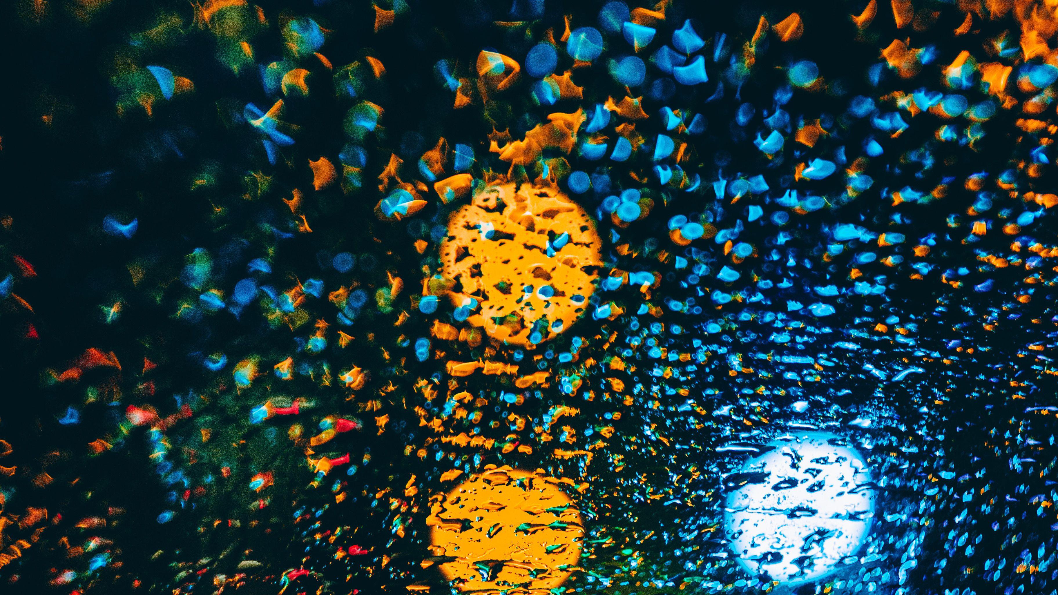 4K Macro Wallpapers - Top Free 4K Macro Backgrounds - WallpaperAccess