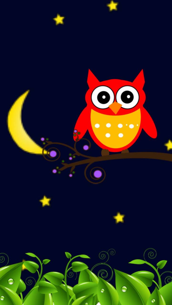 Night Owl Cartoon Wallpapers - Top Free Night Owl Cartoon Backgrounds ...