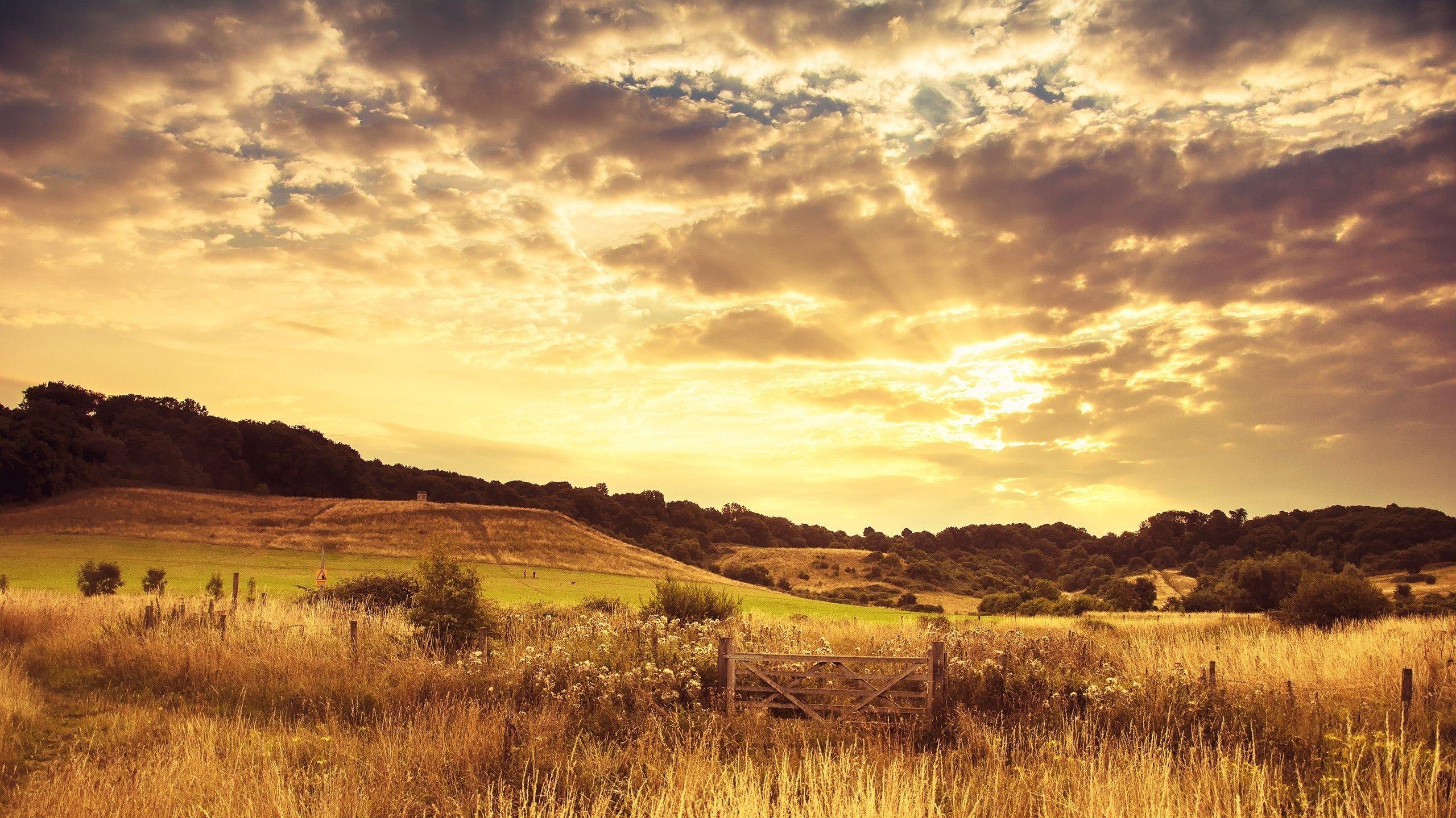 Summer Sun Wallpapers - Top Free Summer Sun Backgrounds - WallpaperAccess