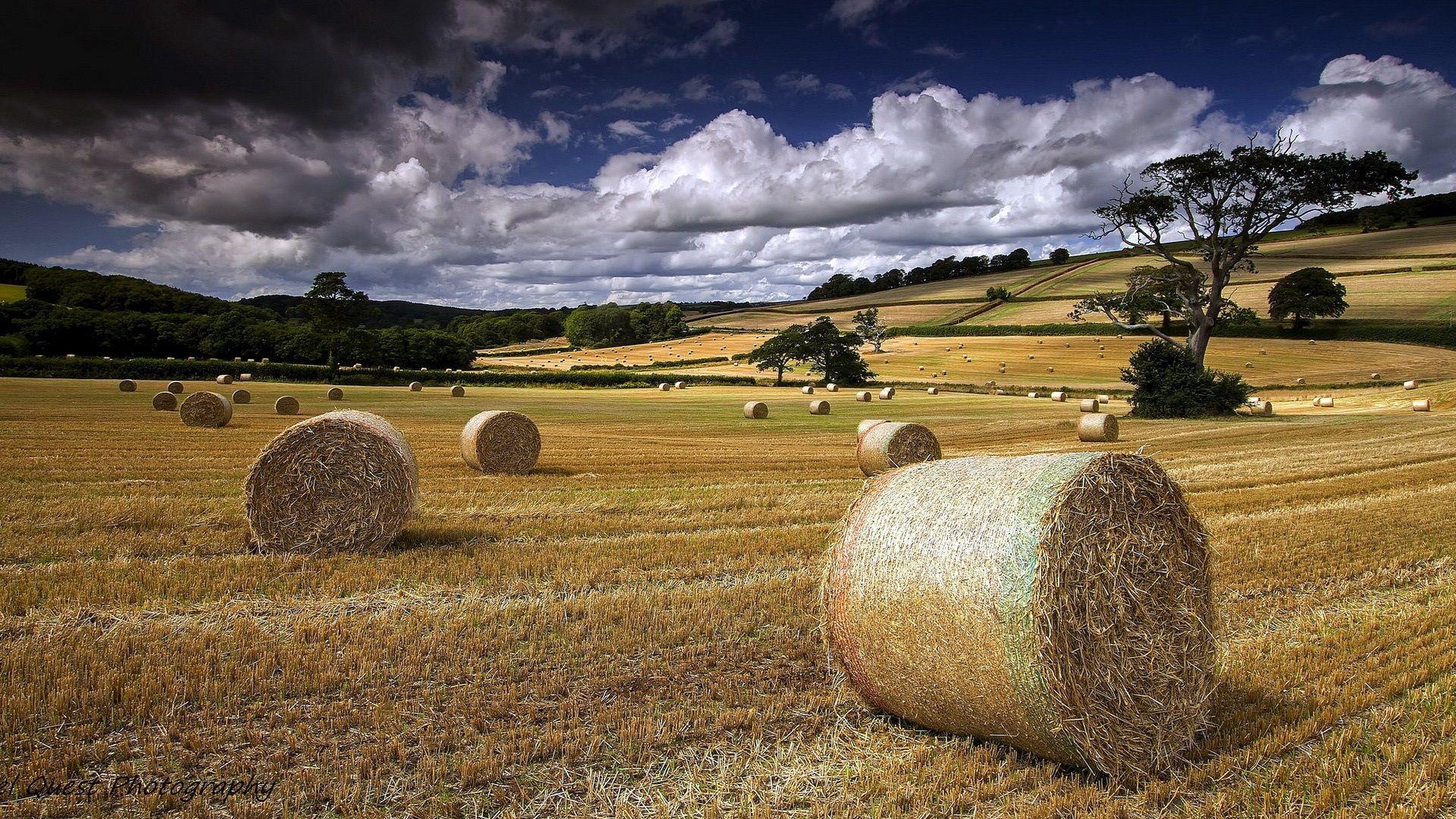 Summer Farm Wallpapers - Top Free Summer Farm Backgrounds - WallpaperAccess