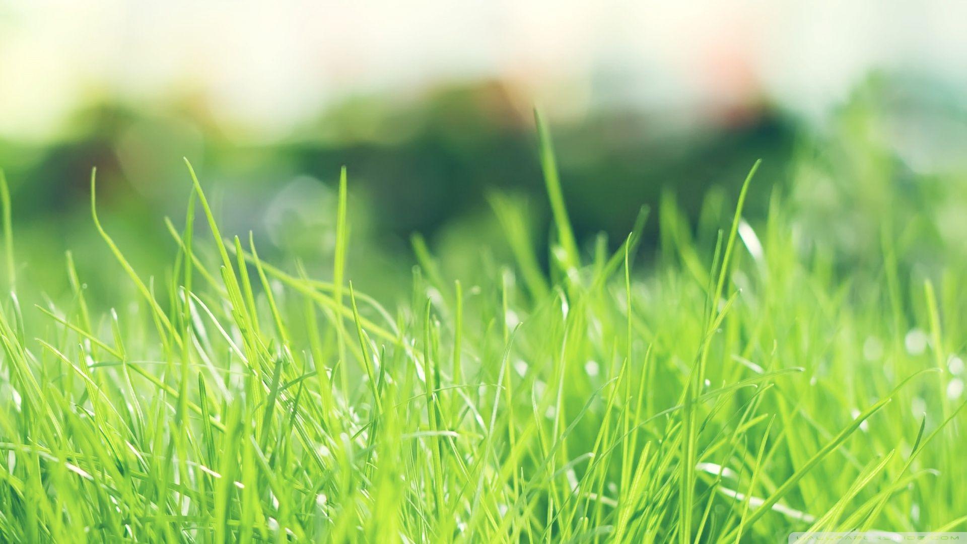 Early Summer Wallpapers - Top Free Early Summer Backgrounds ...