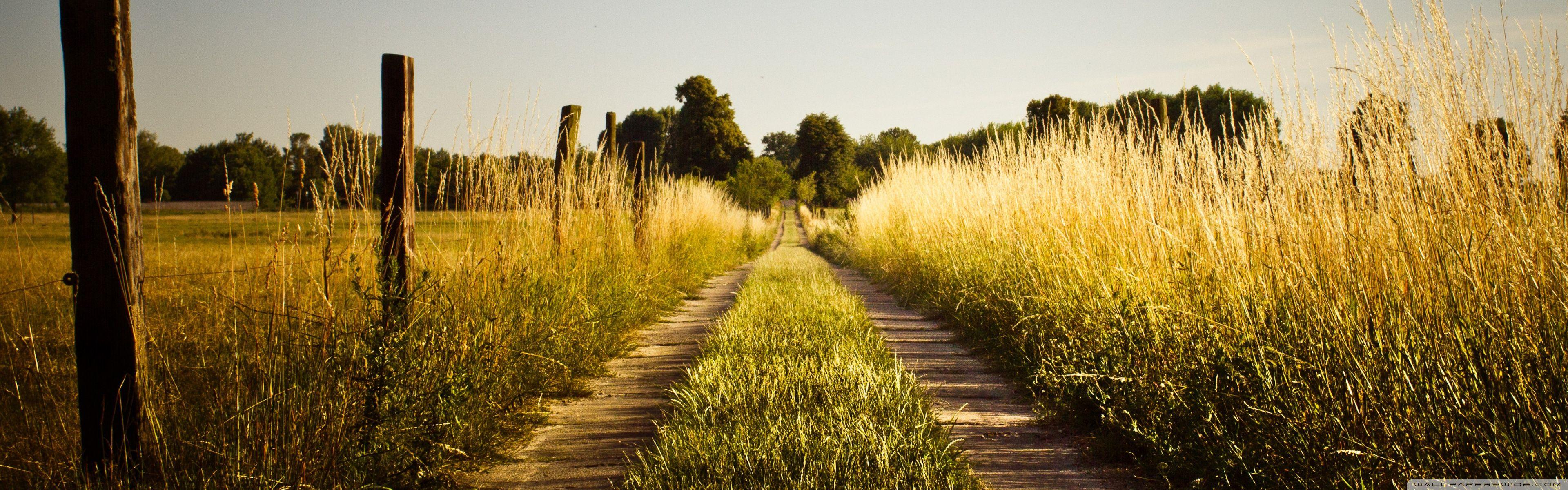 Summer Farm Wallpapers - Top Free Summer Farm Backgrounds - WallpaperAccess