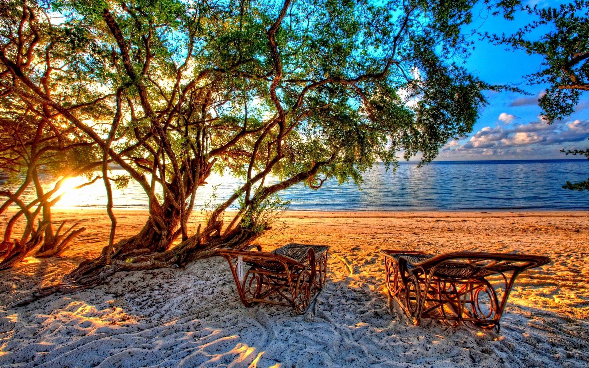 Early Summer Wallpapers - Top Free Early Summer Backgrounds ...