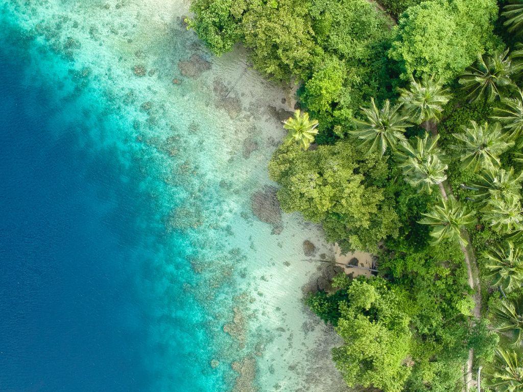 Early Summer Wallpapers - Top Free Early Summer Backgrounds ...