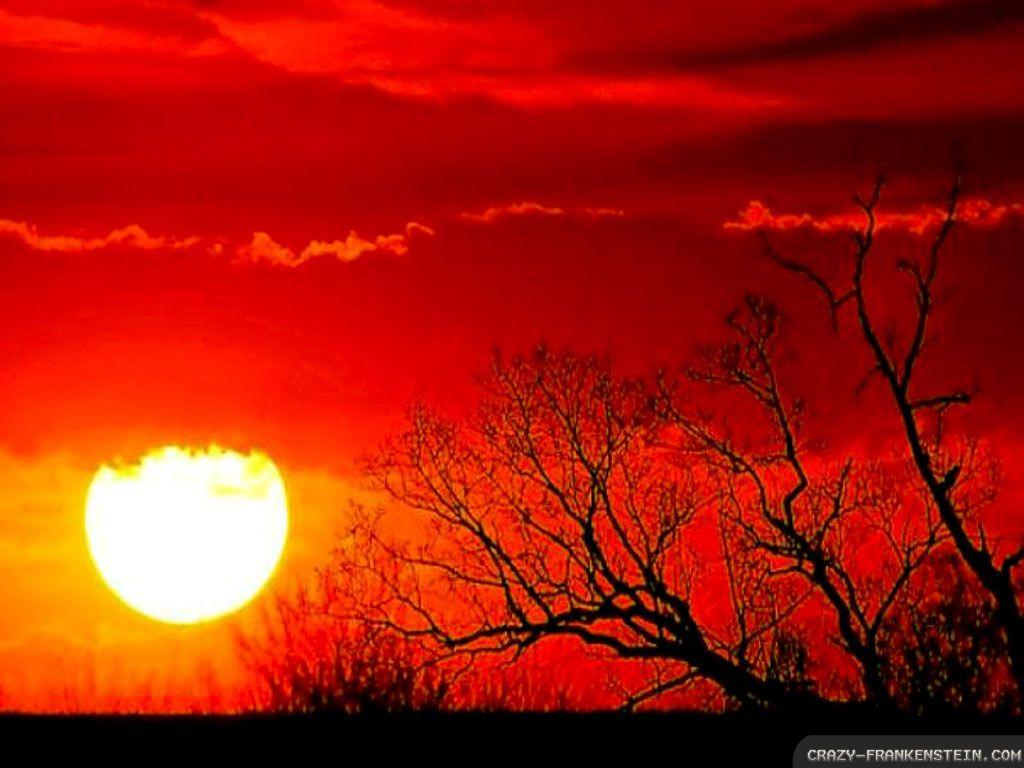 Summer Sun Wallpapers - Top Free Summer Sun Backgrounds - WallpaperAccess