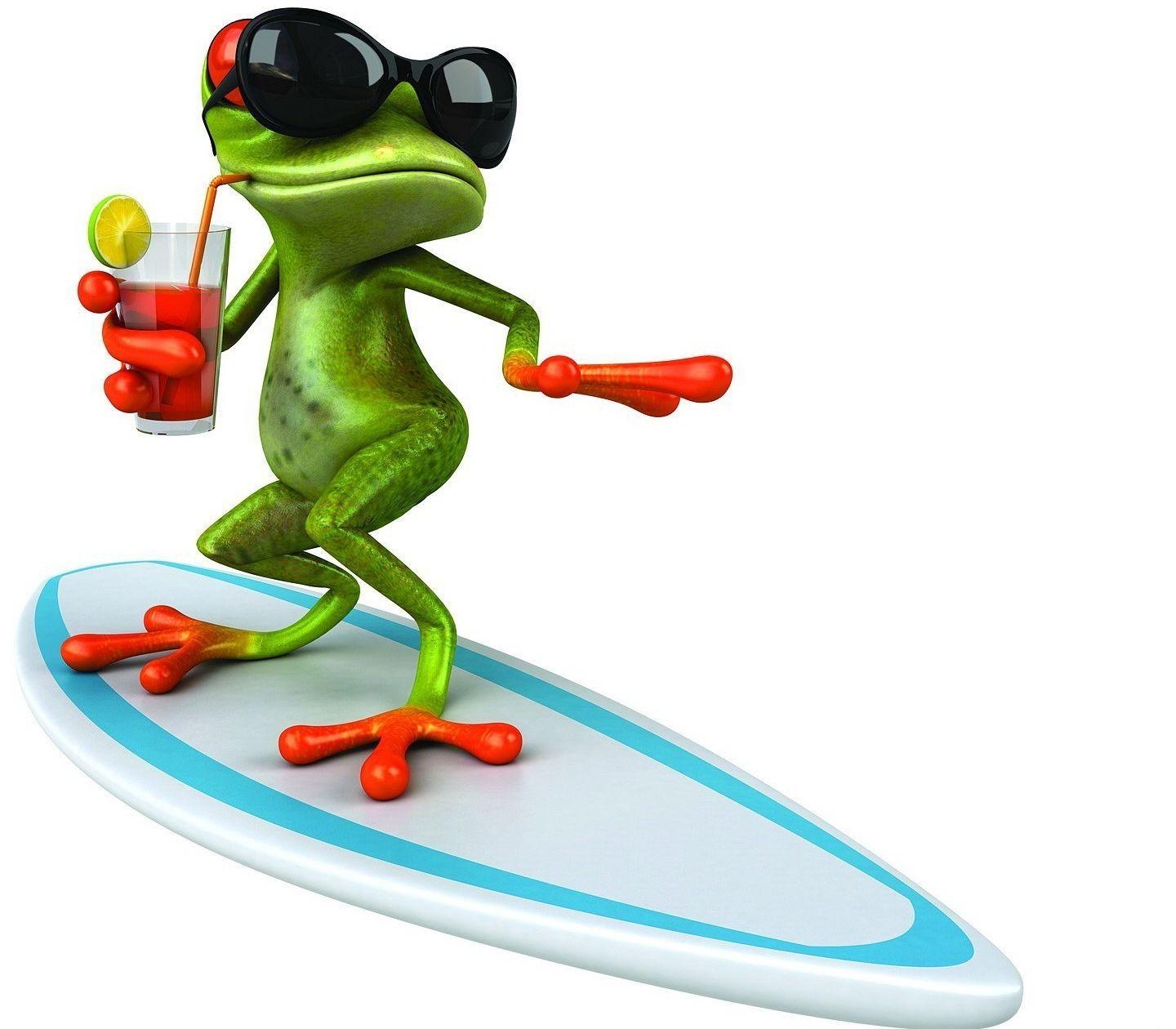 Funny Frog Wallpapers - Top Free Funny Frog Backgrounds - WallpaperAccess