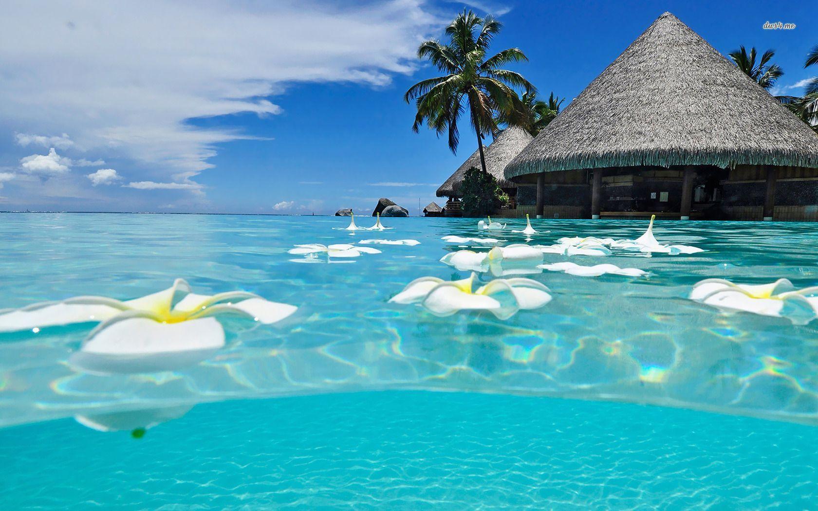 Mexican Beach Desktop Wallpapers - Top Free Mexican Beach Desktop ...