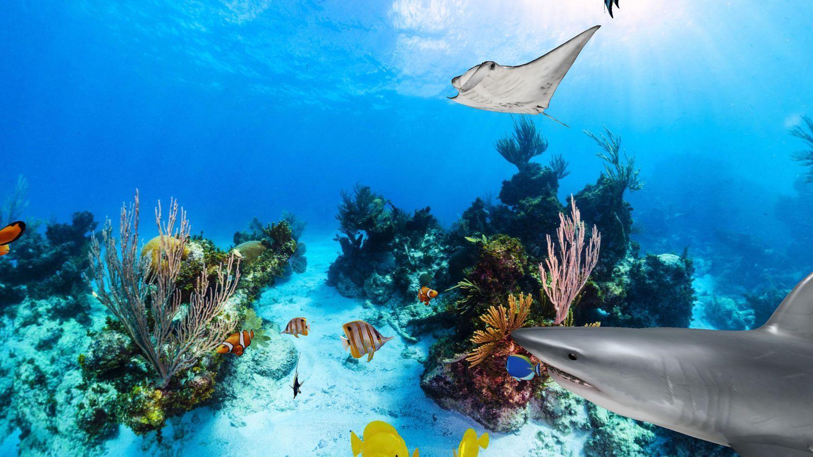 Degree Wallpapers - Top Free Degree Backgrounds - WallpaperAccess