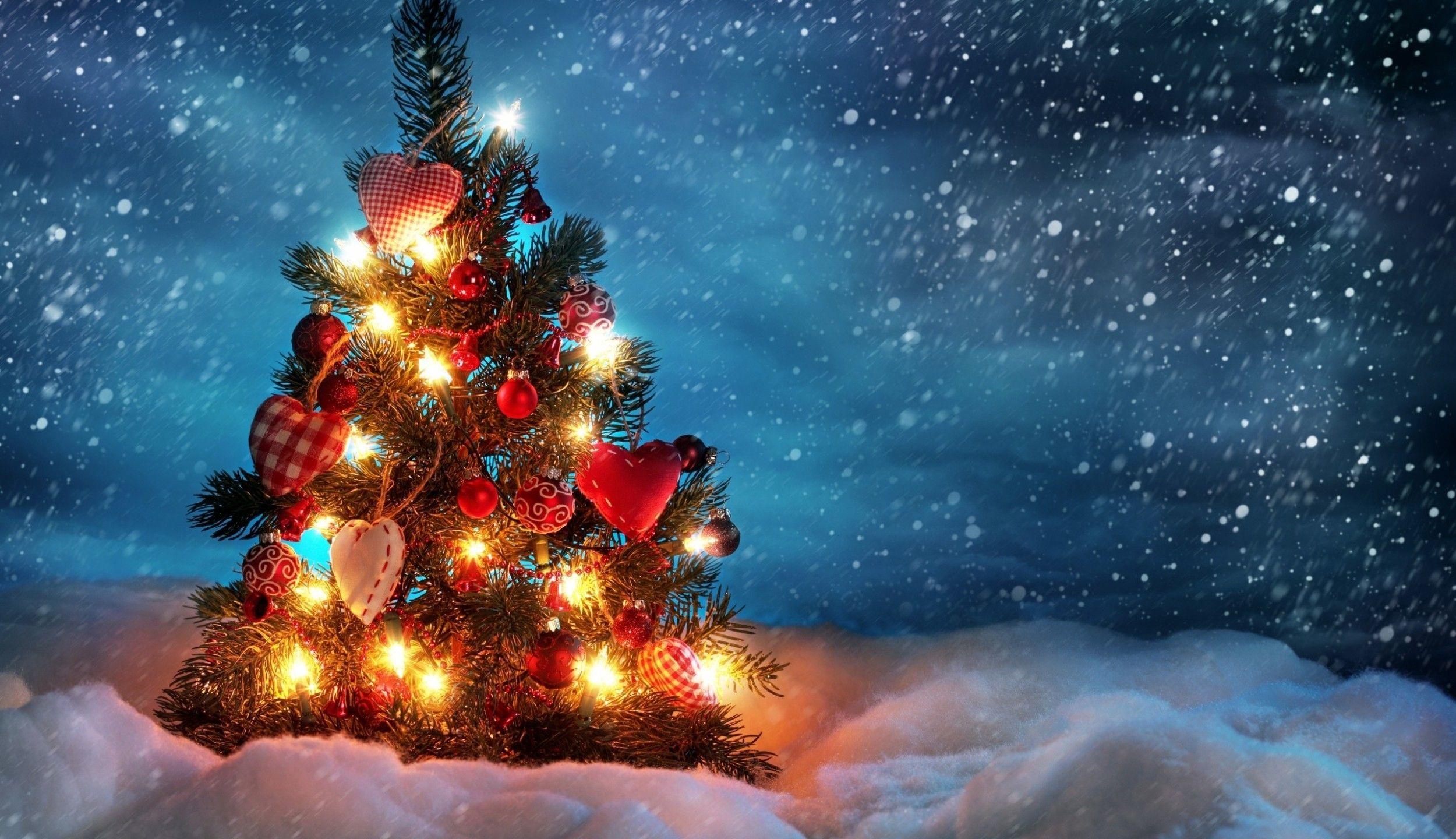 Tree Lights Wallpapers - Top Free Tree Lights Backgrounds - WallpaperAccess