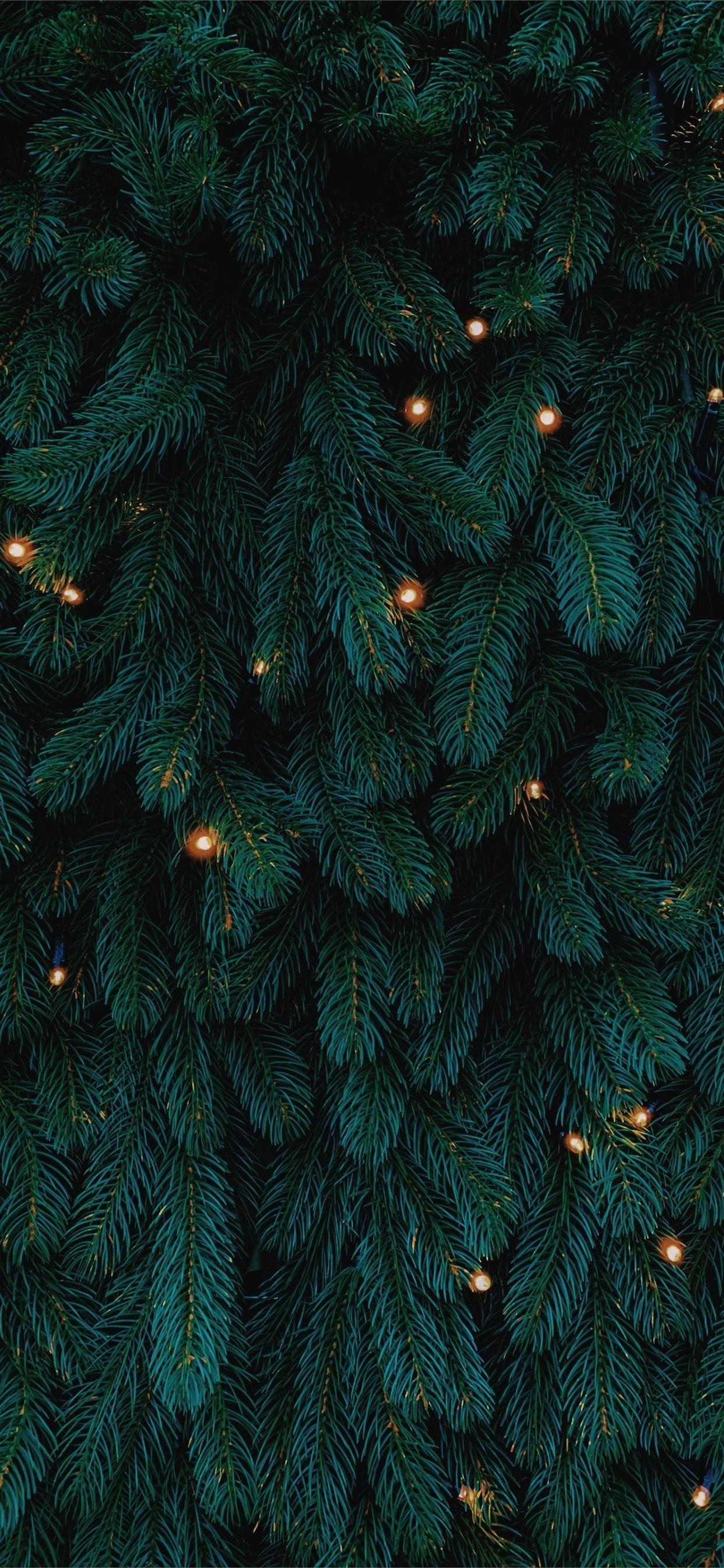 Tree Lights Wallpapers - Top Free Tree Lights Backgrounds - WallpaperAccess